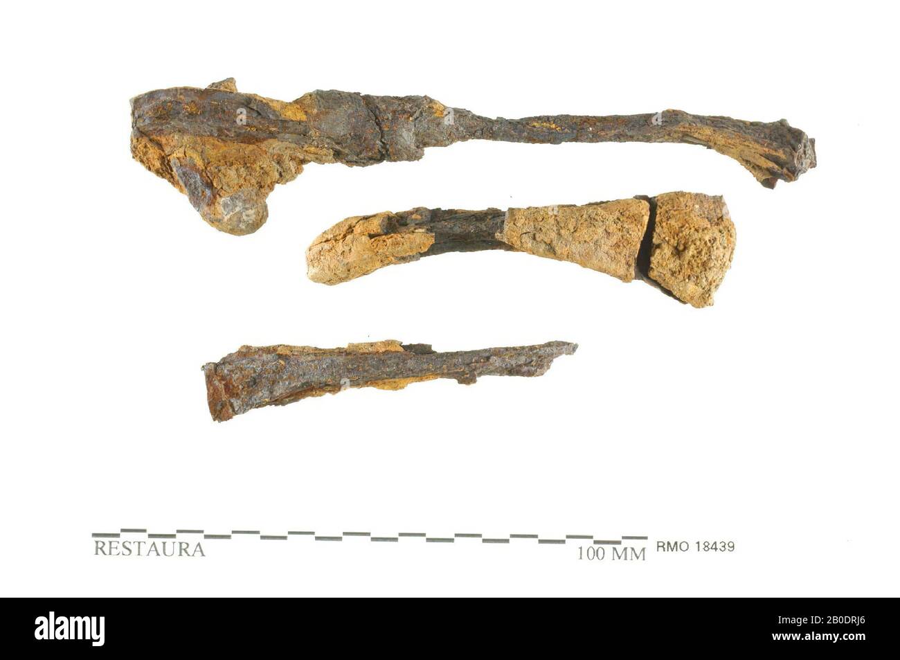 The Netherlands Middle Ages, rod, with eye and part of ring, 2 parts of ...