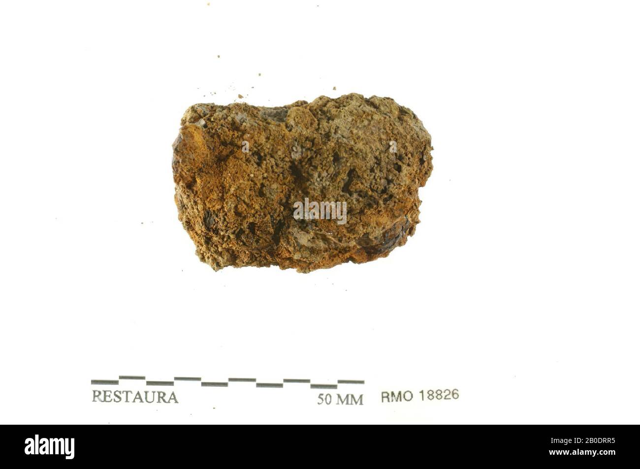 Transverse pin hi-res stock photography and images - Alamy