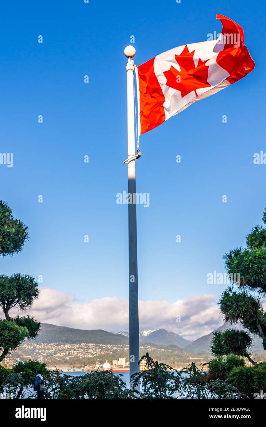 Flag of Canada flying and waving against a beautiful blue sky Stock ...