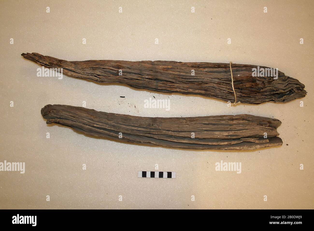 The Netherlands Roman period, pole, organic, wood, L, 64 cm, roman, the ...