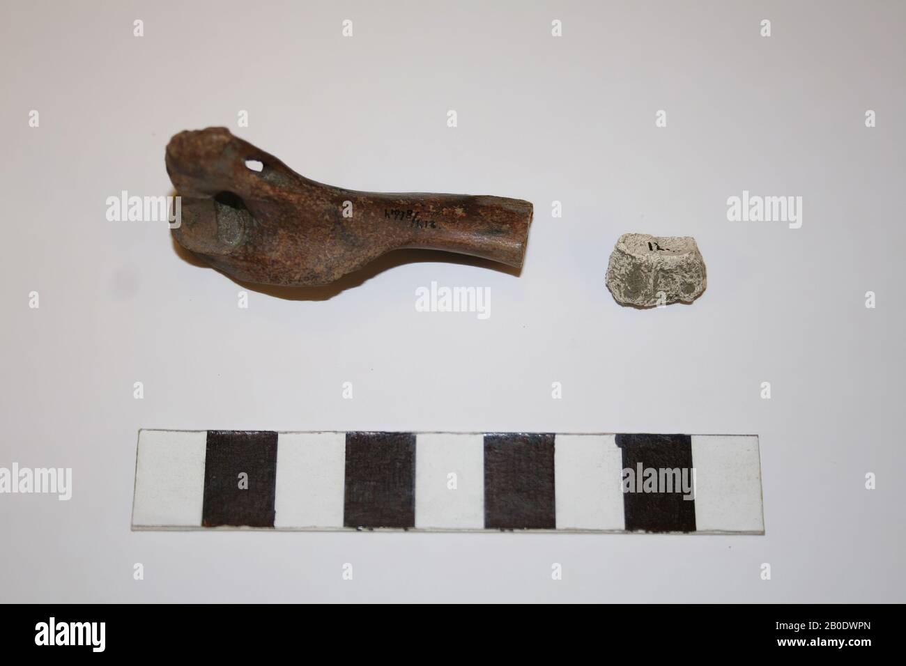 Humerus otter hi-res stock photography and images - Alamy