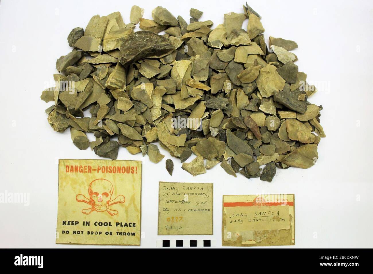 The Netherlands prehistory, fragments, stone, obsidian, shell, various ...