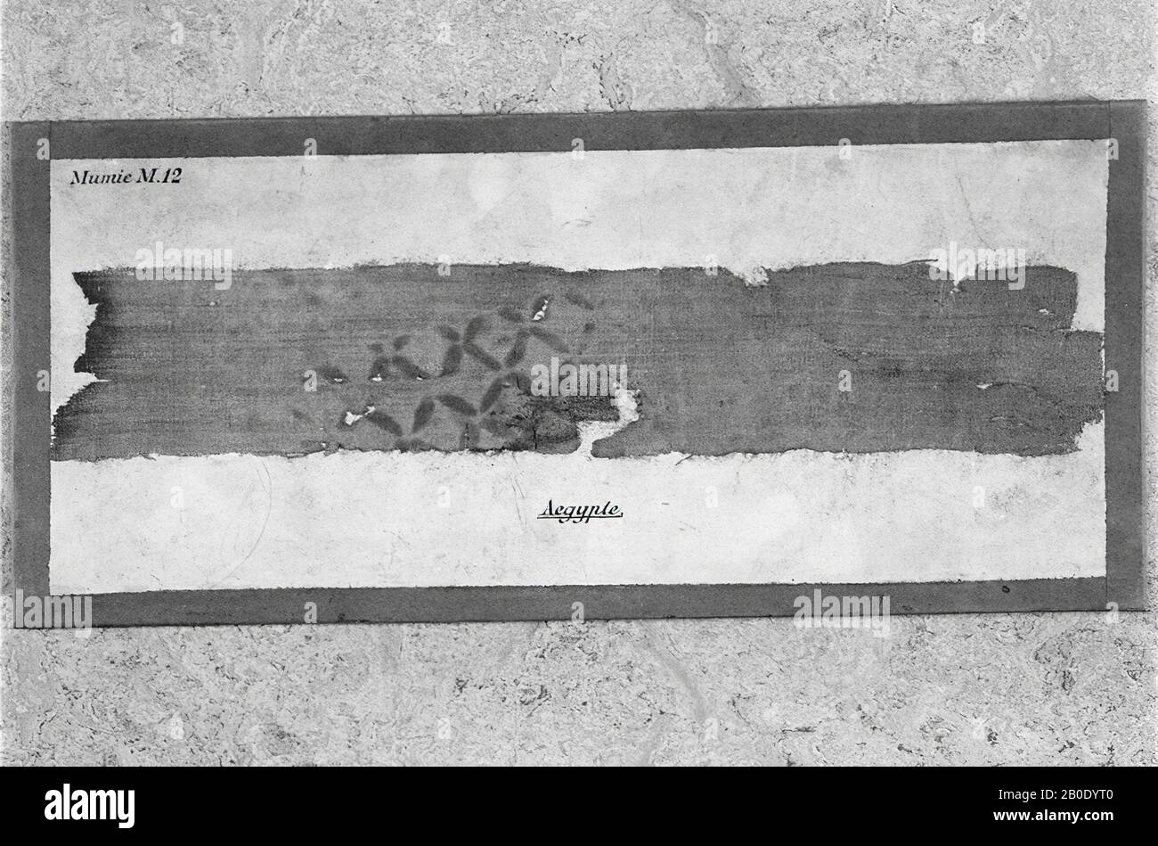 Egypt, cover, fabric, textile, linen, 6 x 31.5 cm, Late Period, 26th ...