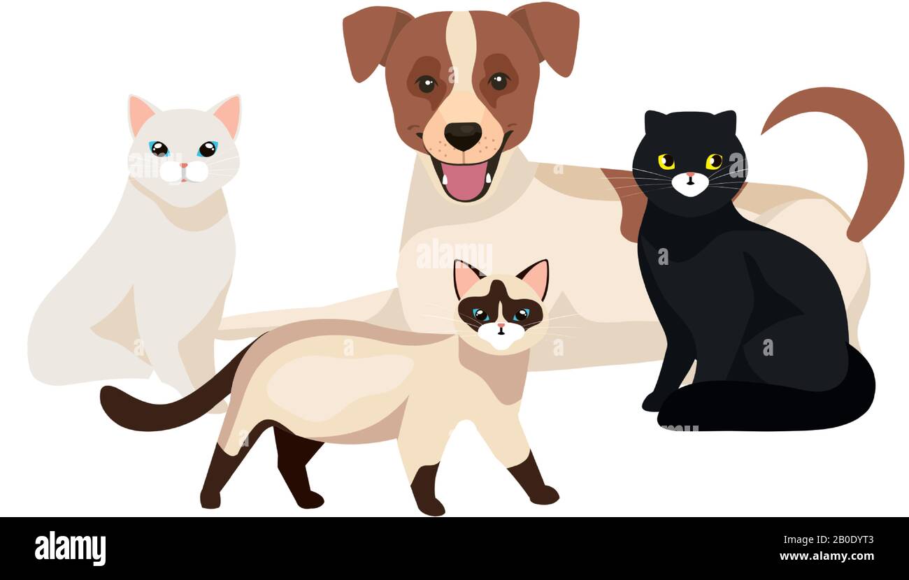 group of cute cats with dog isolated icons Stock Vector Image & Art - Alamy