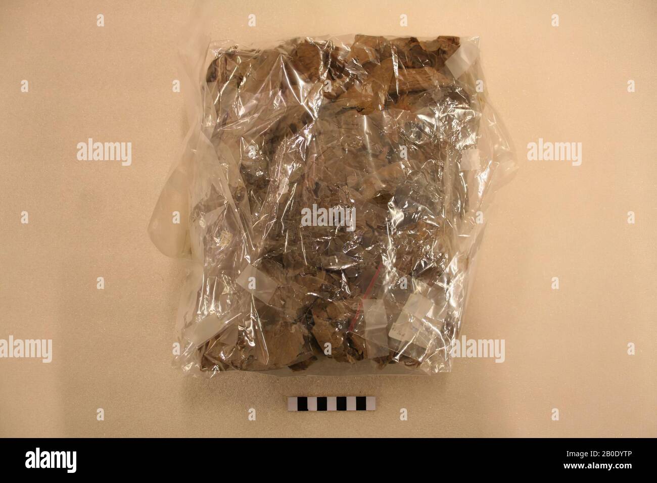 150 x 100 cm hi-res stock photography and images - Alamy