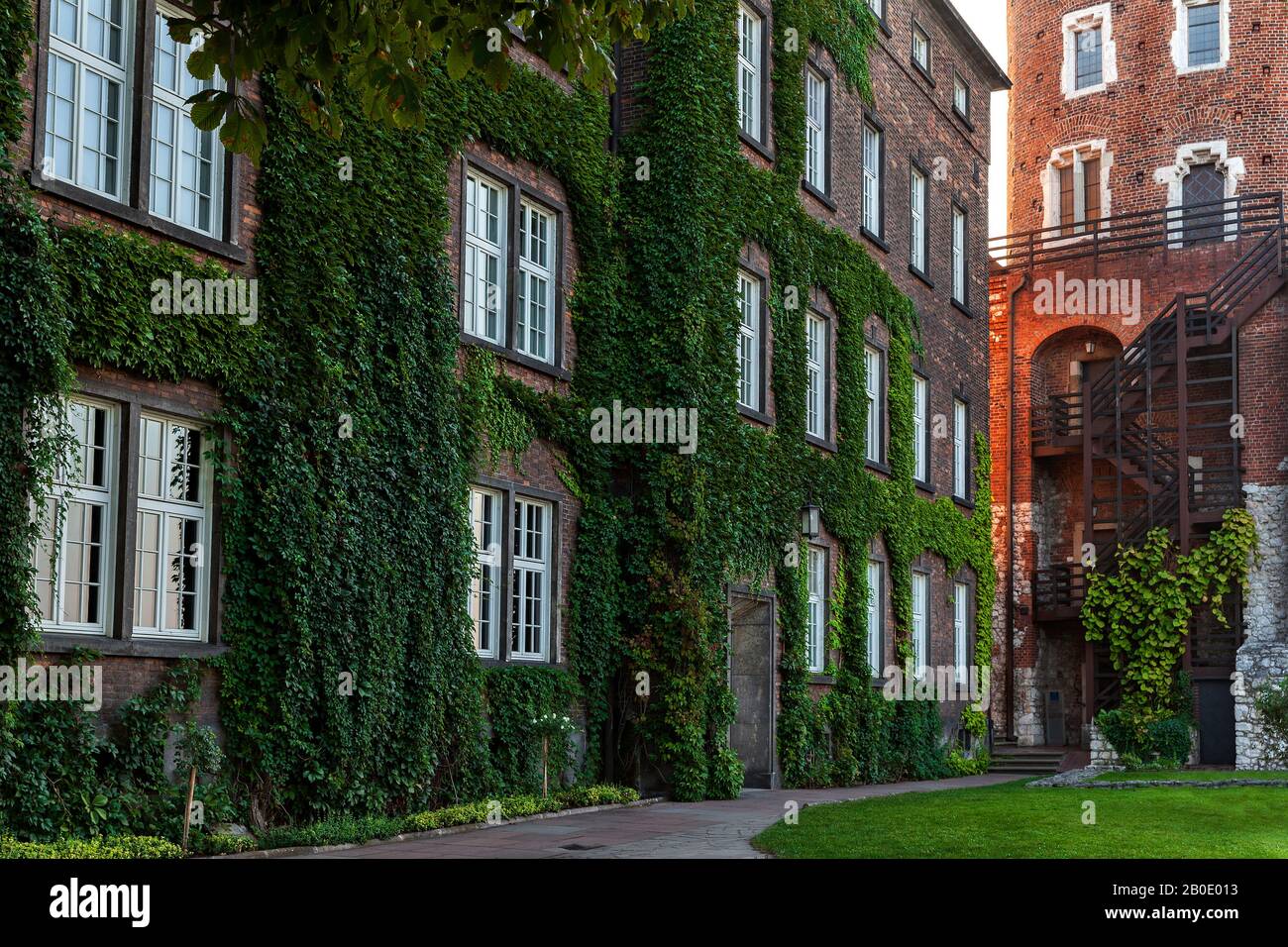 Brick ivy hi-res stock photography and images - Alamy