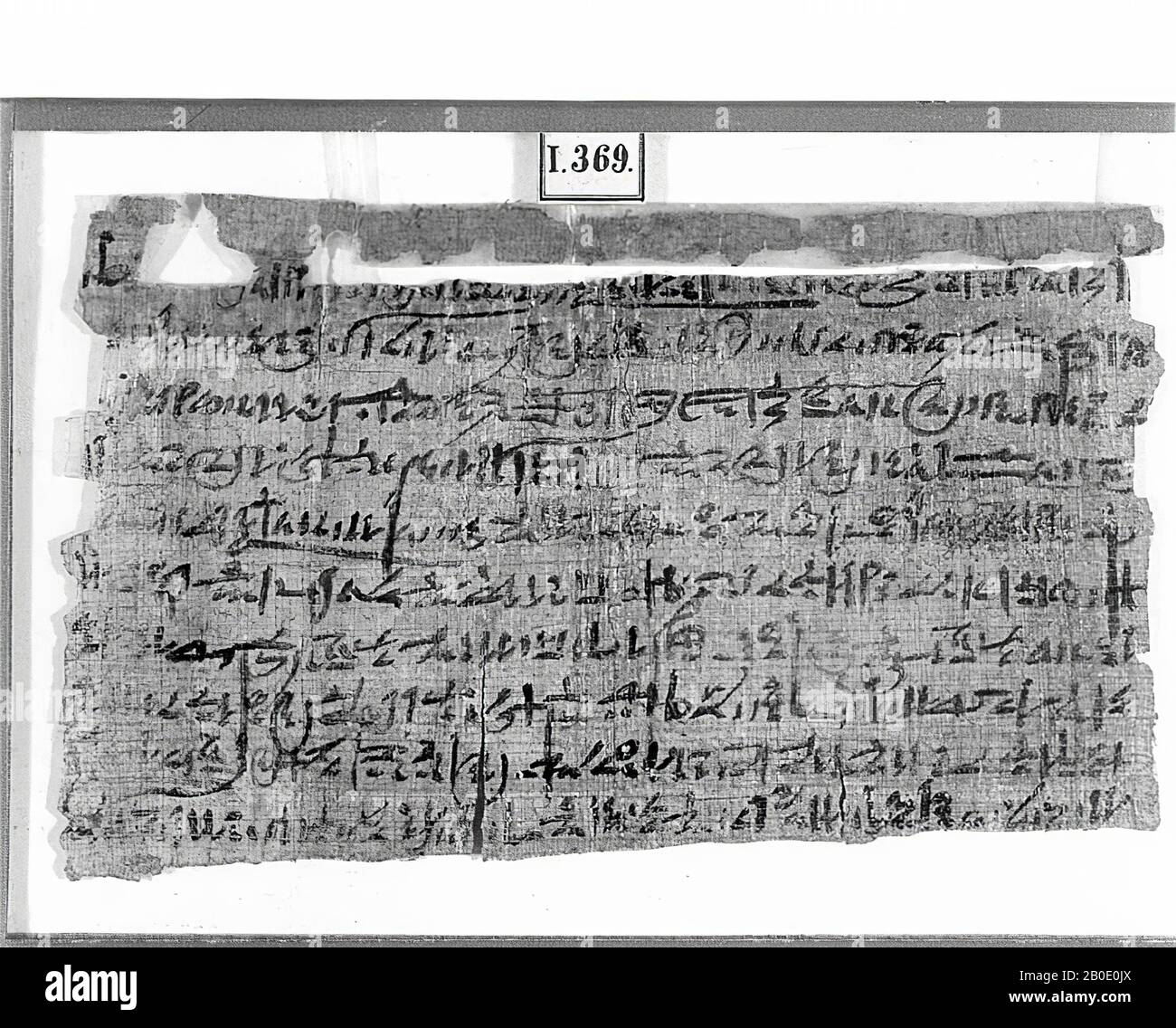 Egypt, handwriting, hieratic, papyrus, 13 x 21 cm Stock Photo - Alamy