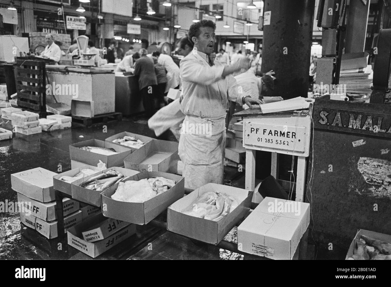 9/9/3 Billingsgate Fish Market 1981, traders stalls Stock Photo - Alamy