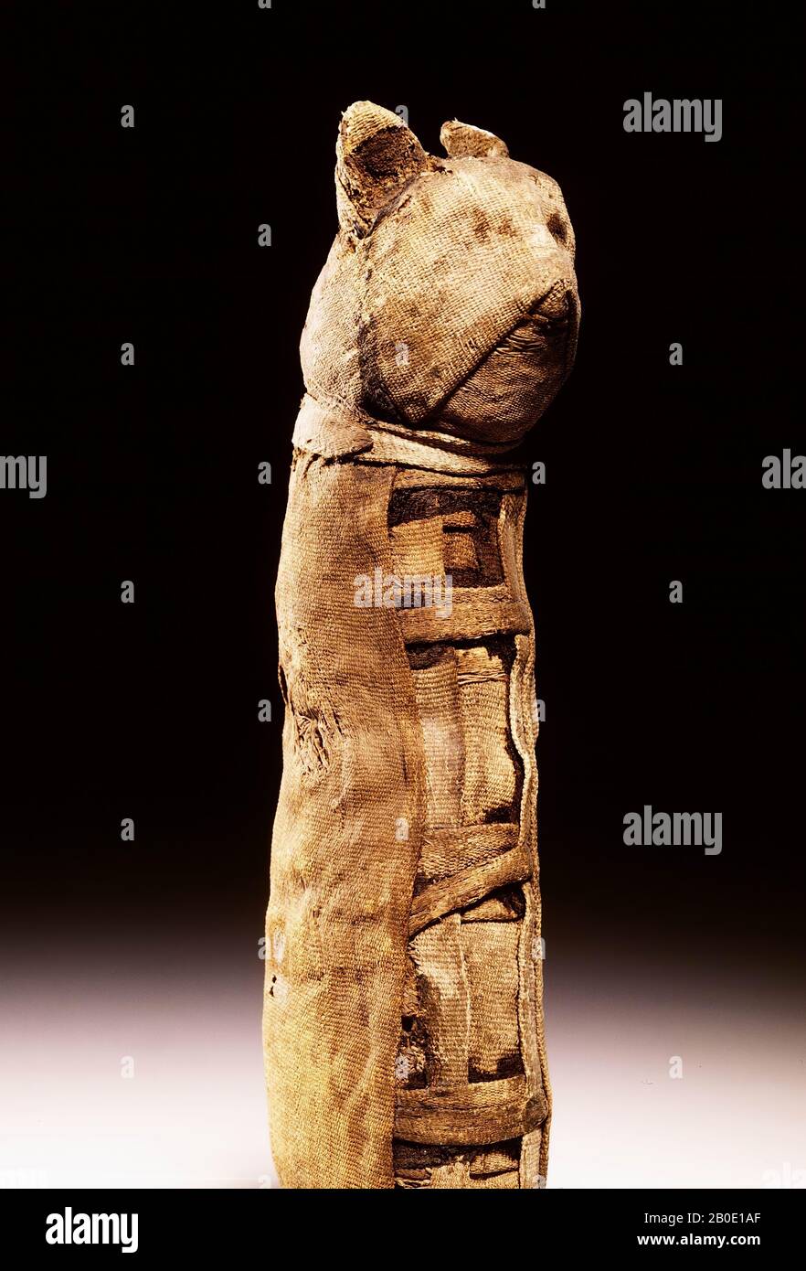 Mummy cat hi-res stock photography and images - Alamy