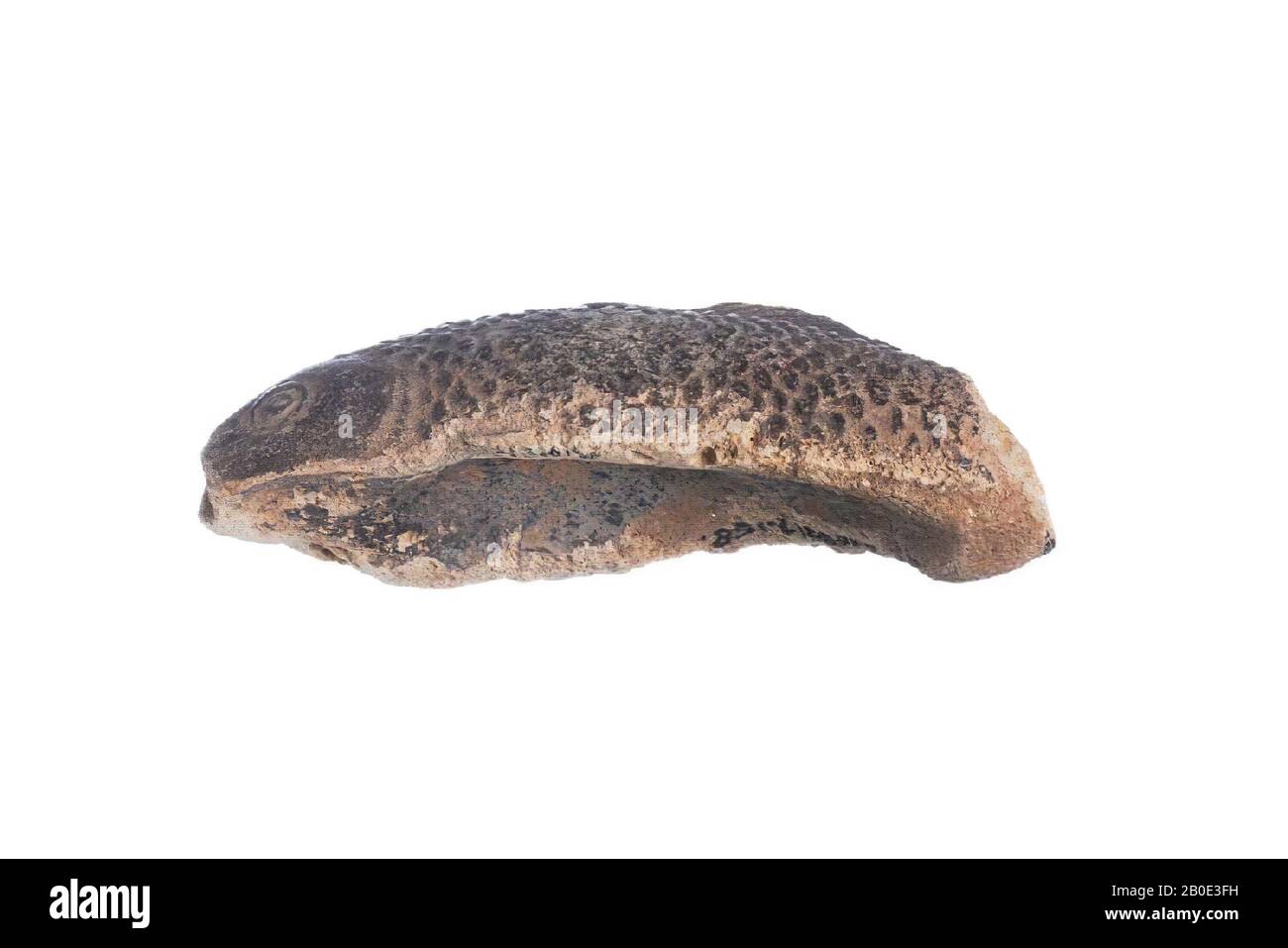 Ancient Near East, ceremonial object, stone, limestone, H 2.6 cm, L 8 ...