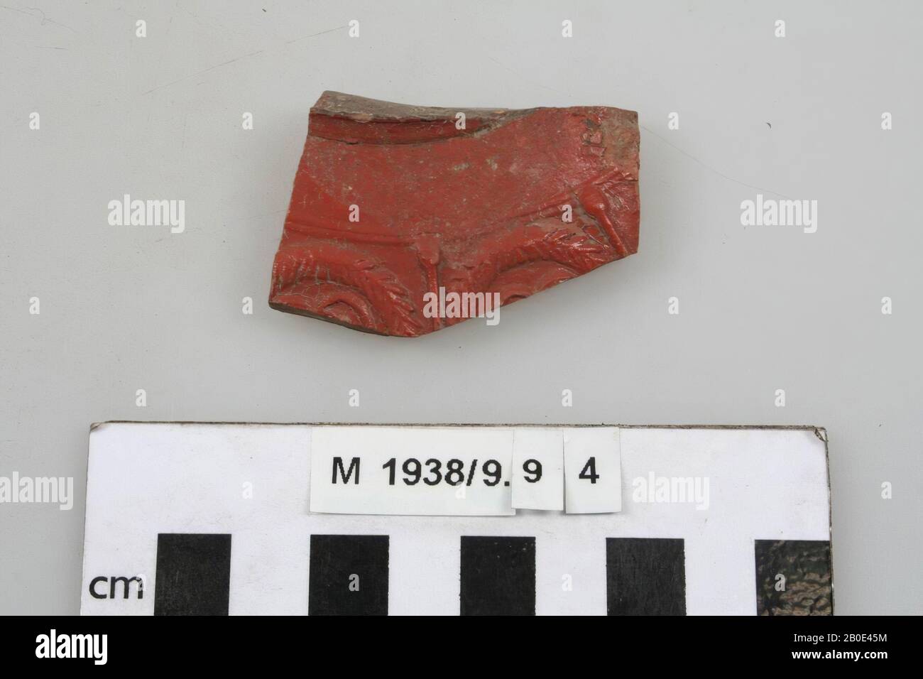 1 Shard, fragment, earthenware, terra sigillata, roman, Germany ...