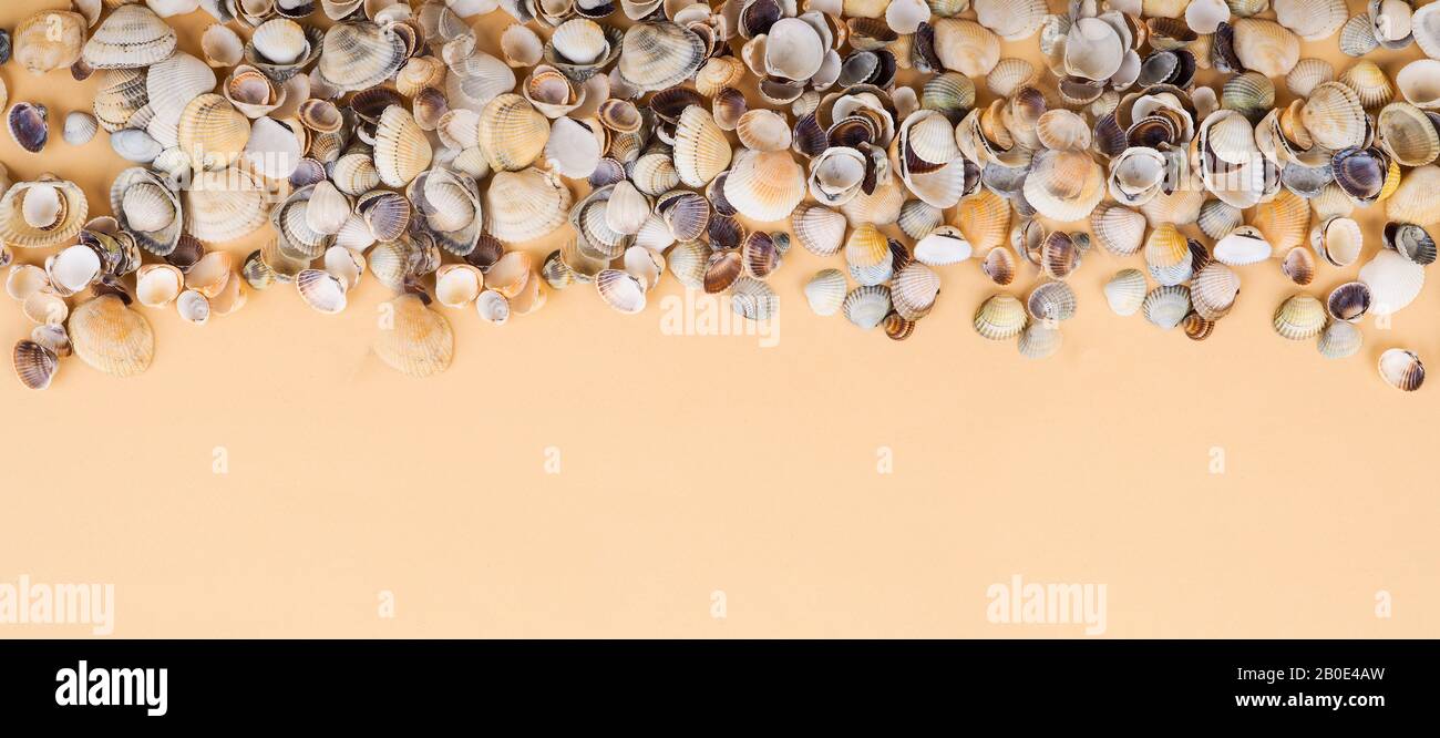 Handcraft materials, lots of shells. many small shells as a banner ...