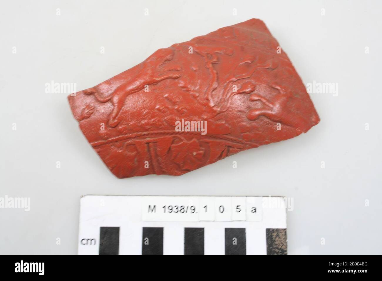 1 Shard, fragment, earthenware, terra sigillata, roman, Germany ...