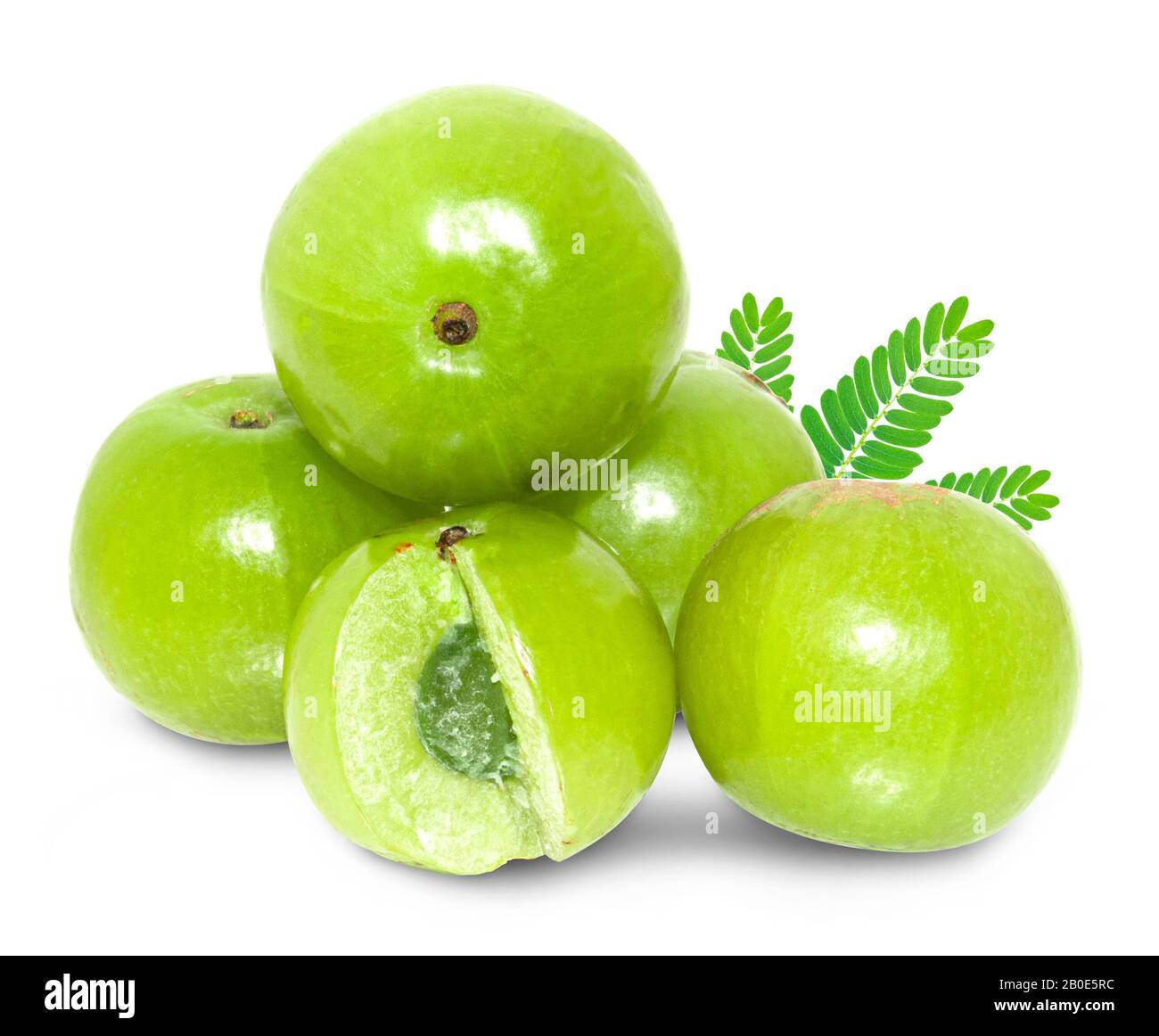 Amla green fruits ,Phyllanthus emblica isolated on white background ...