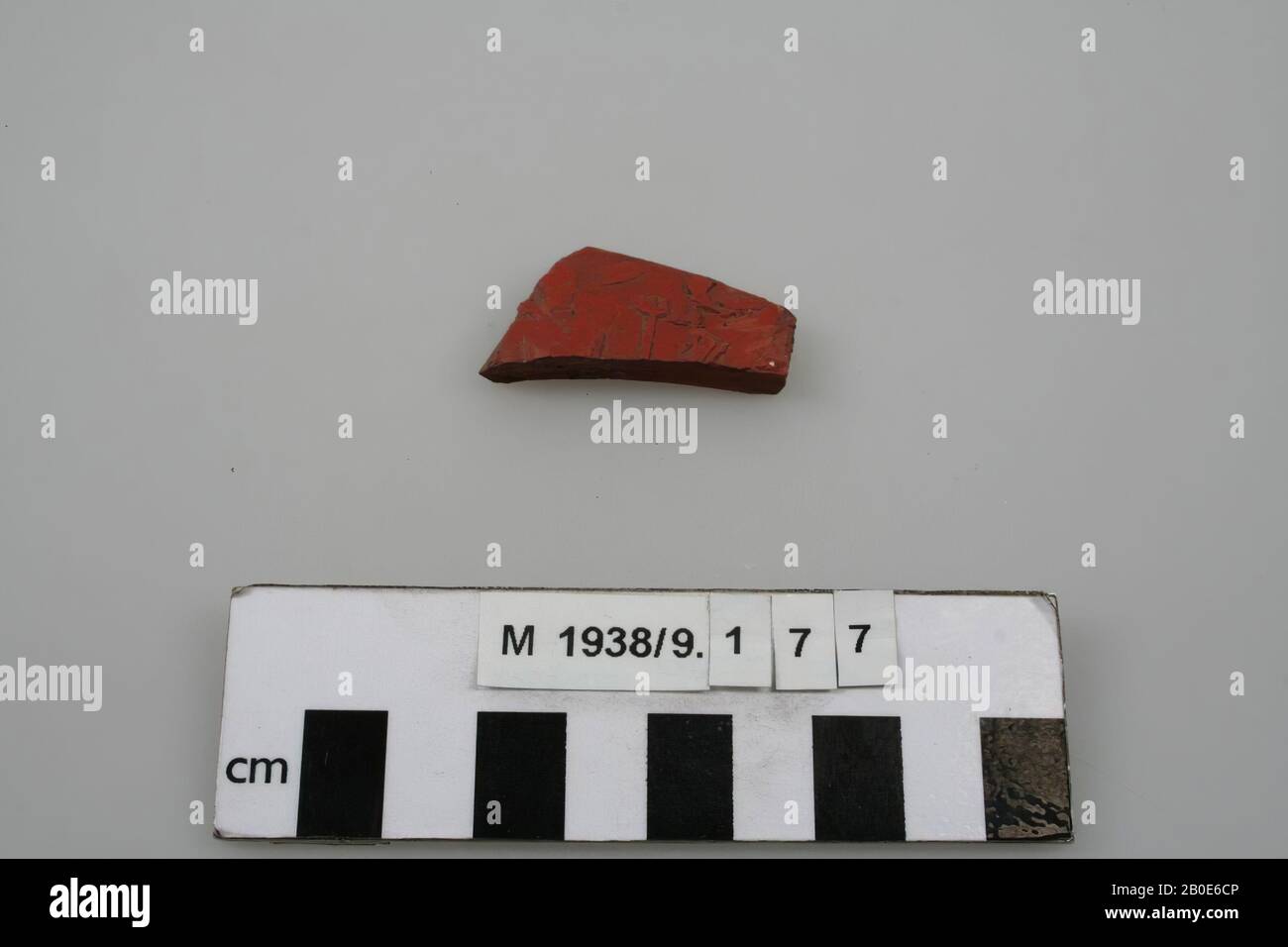 1 Shard, fragment, earthenware, terra sigillata, roman, Germany ...