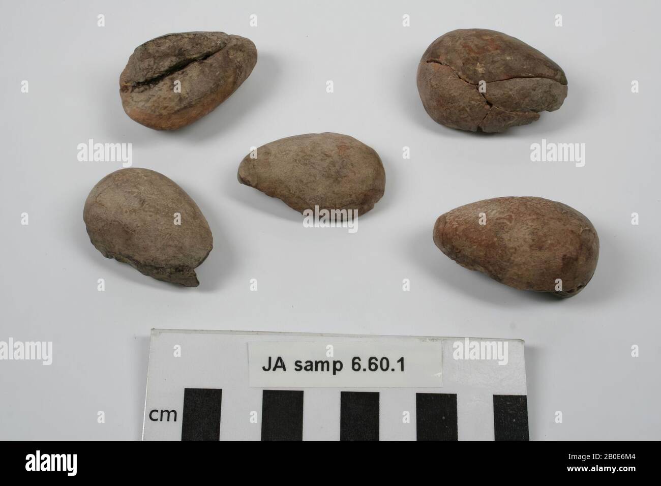 Slingstone hi-res stock photography and images - Alamy