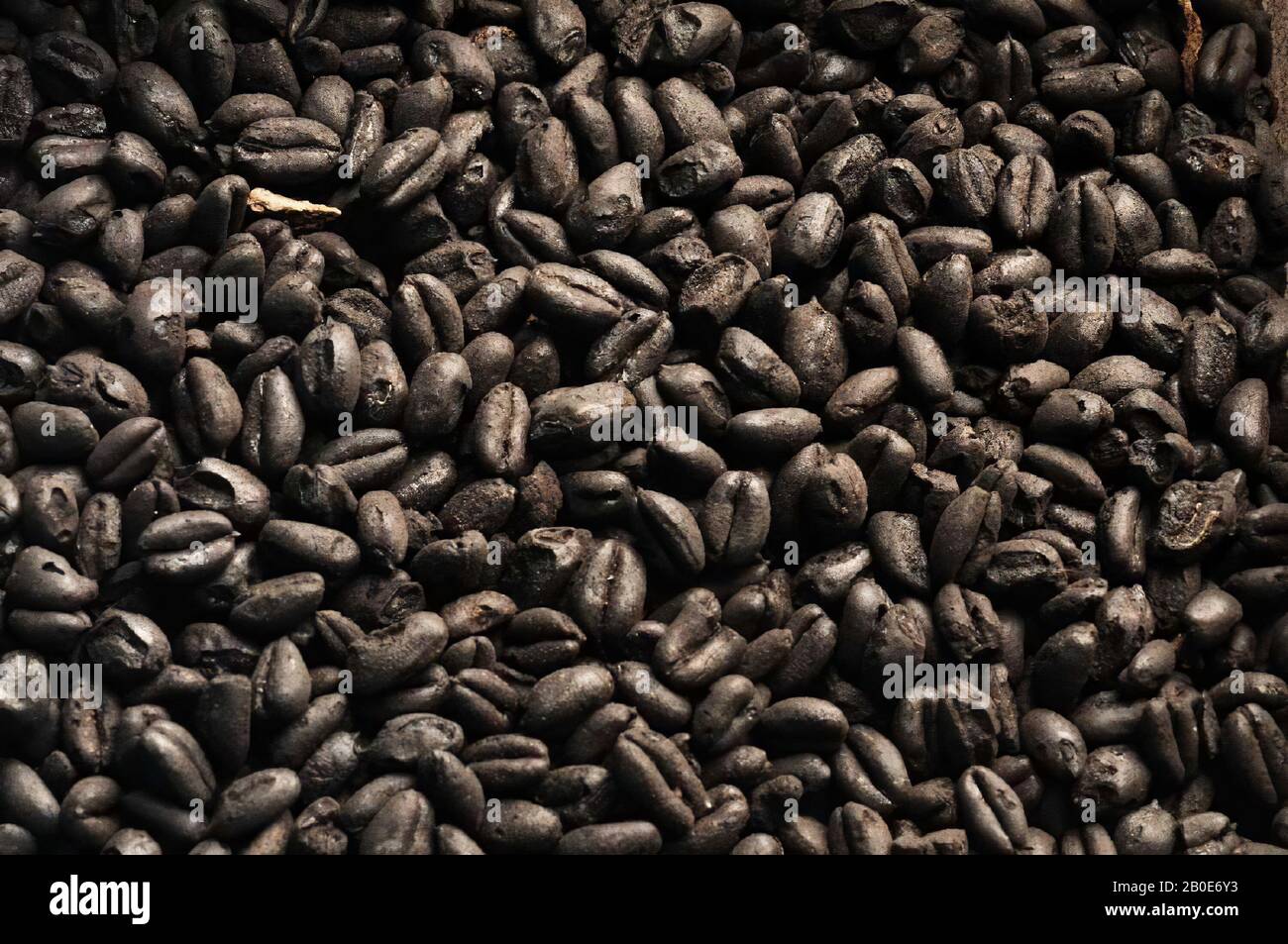 Ancient Near East, sample, organic, grain, site, Palestine Stock Photo ...