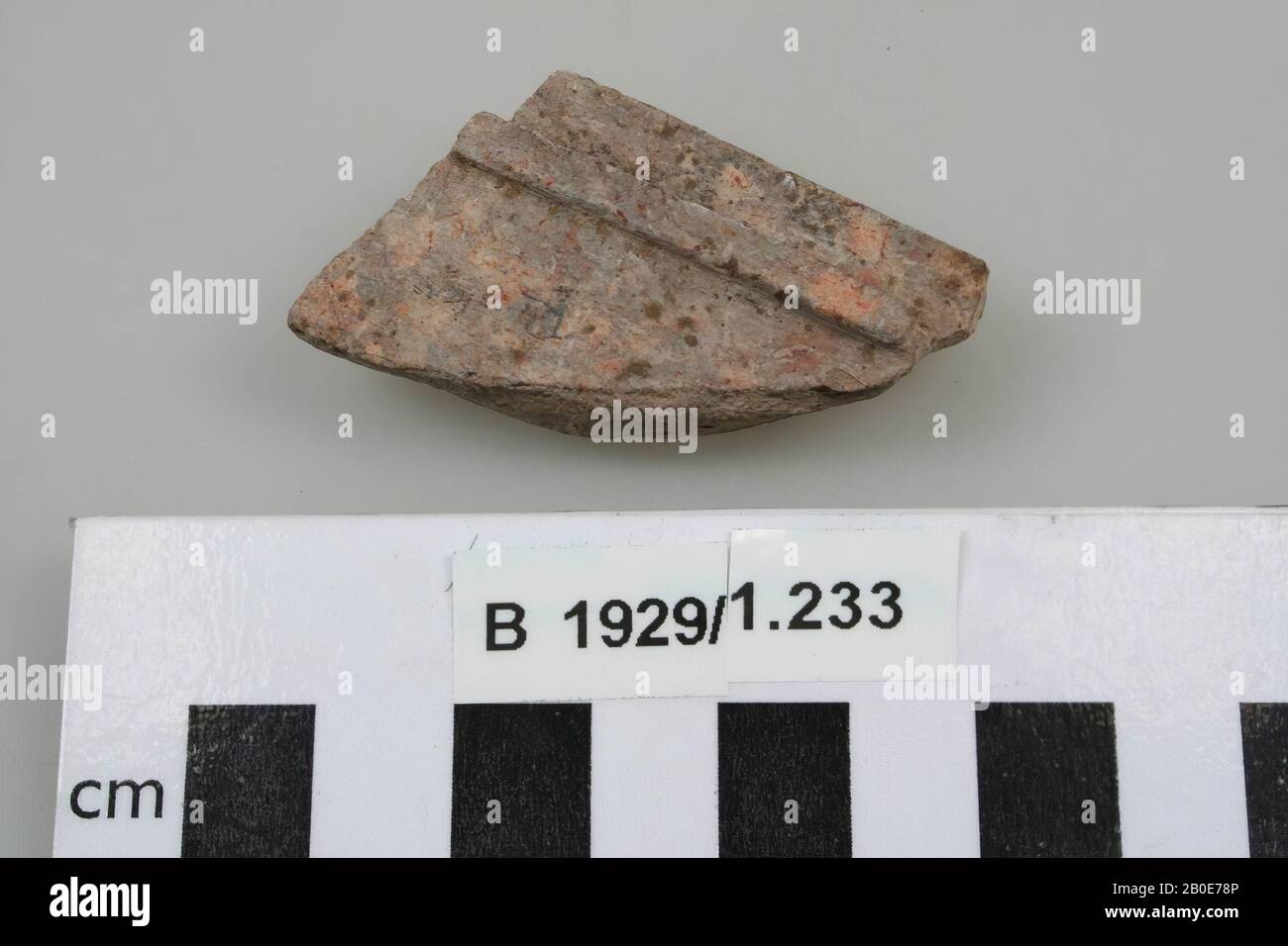 varia, stone, limestone, L 4.5 cm, W 3.3 cm, H 1.5 cm, Palestine Stock ...