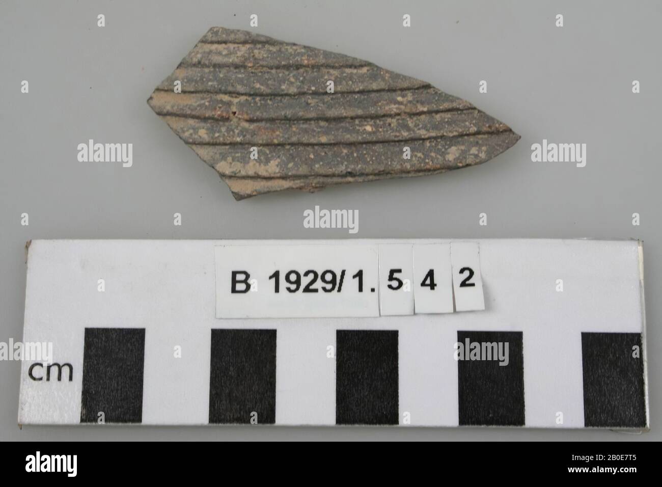 A wall shard with corrugations, crockery, earthenware, B 6 cm, Roman ...