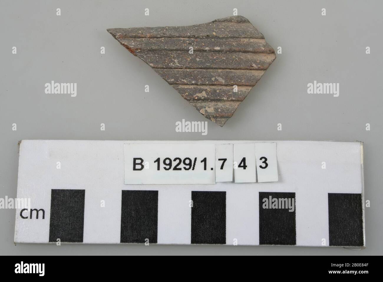 An earthenware shard, tableware, earthenware, B 5.3 cm, Roman Period ...