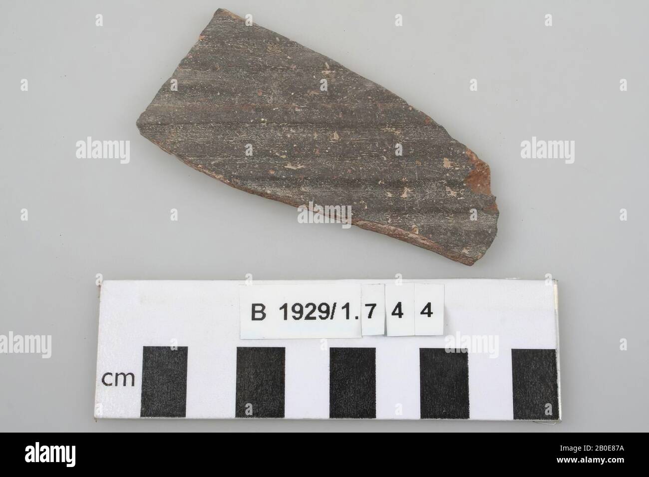 An earthenware shard, tableware, earthenware, B 8.3 cm, Roman Period ...