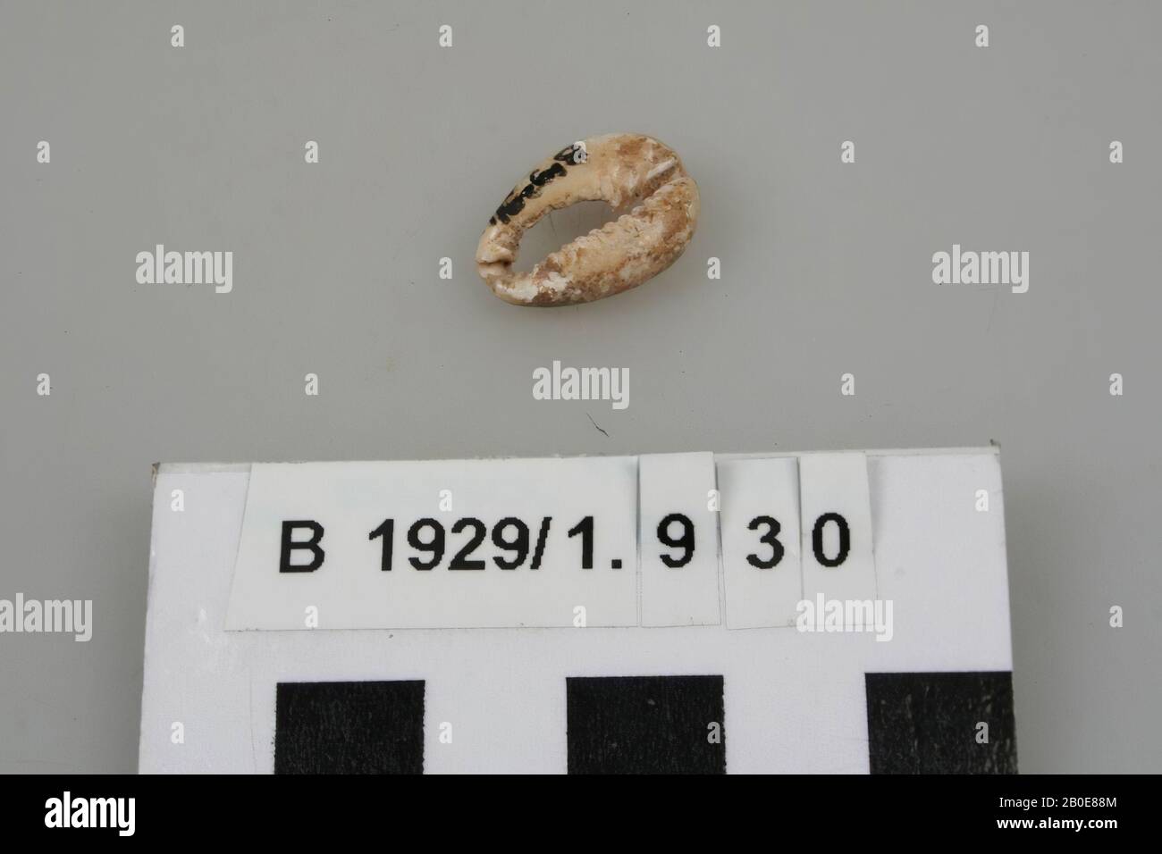 1 7 cm hi-res stock photography and images - Alamy