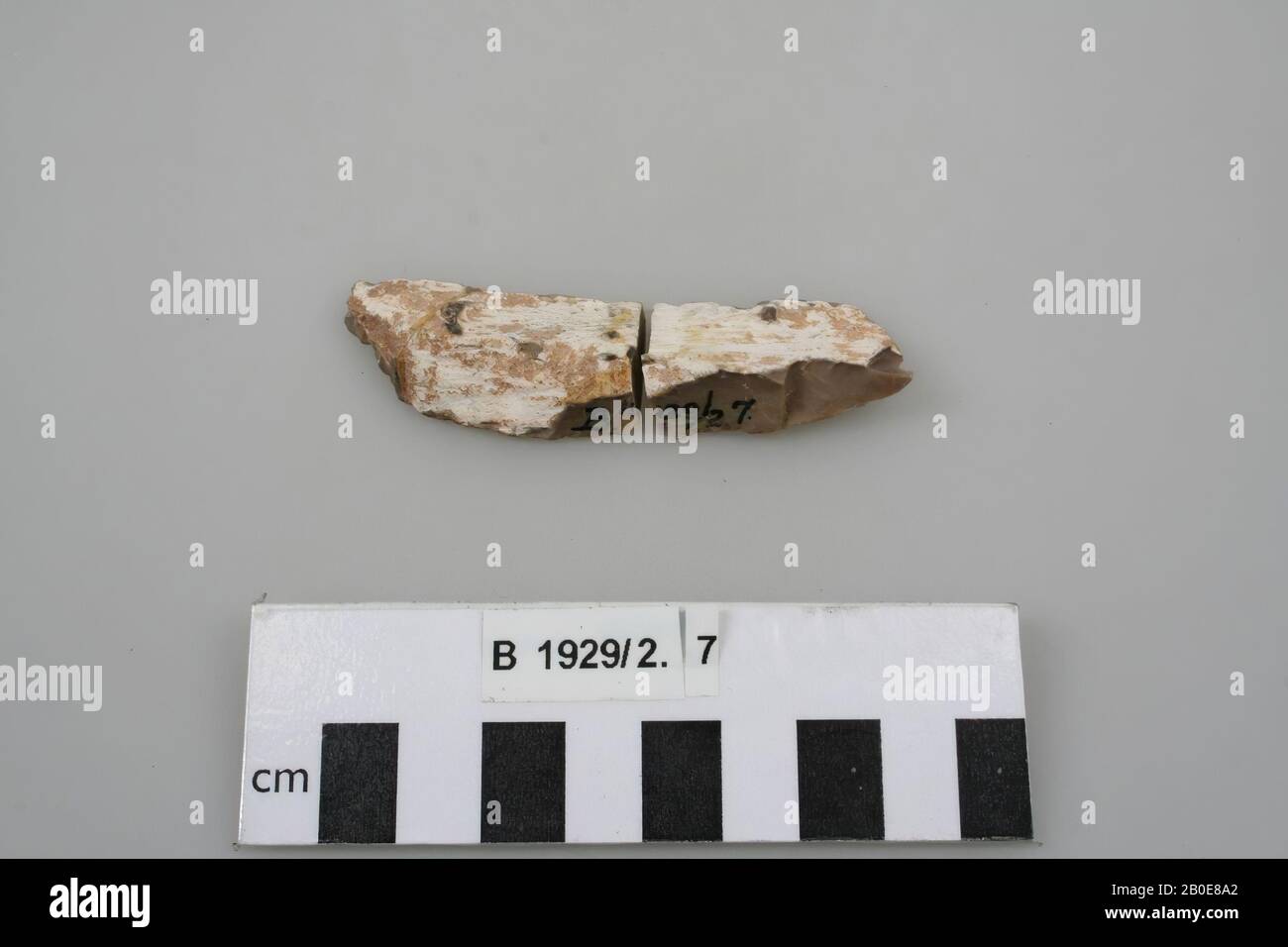 To Cortex High Resolution Stock Photography and Images - Alamy