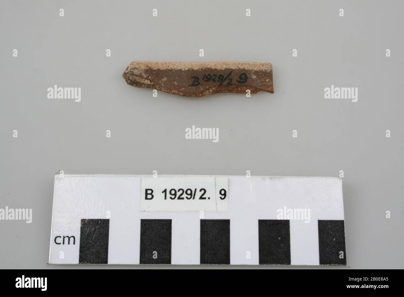 The cortex hi-res stock photography and images - Alamy