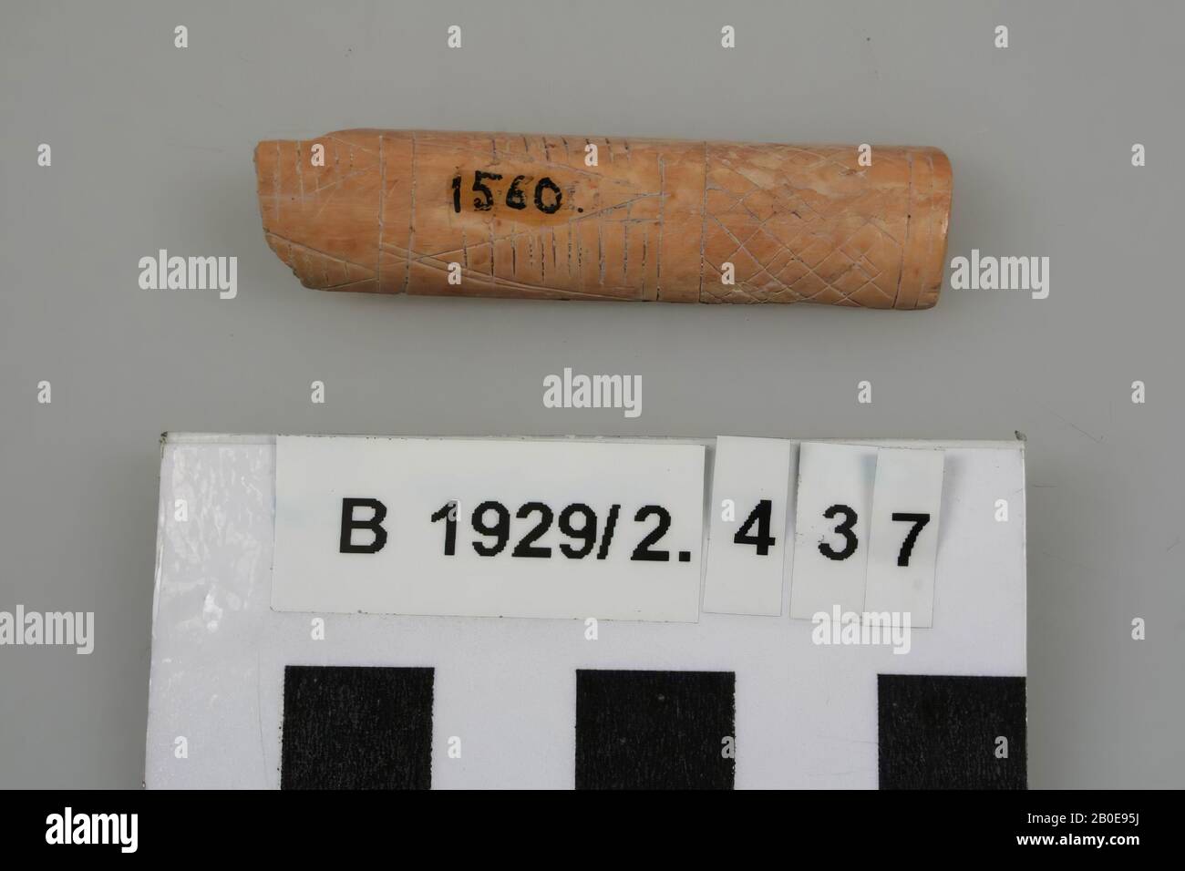 Bone needle case hi-res stock photography and images - Alamy