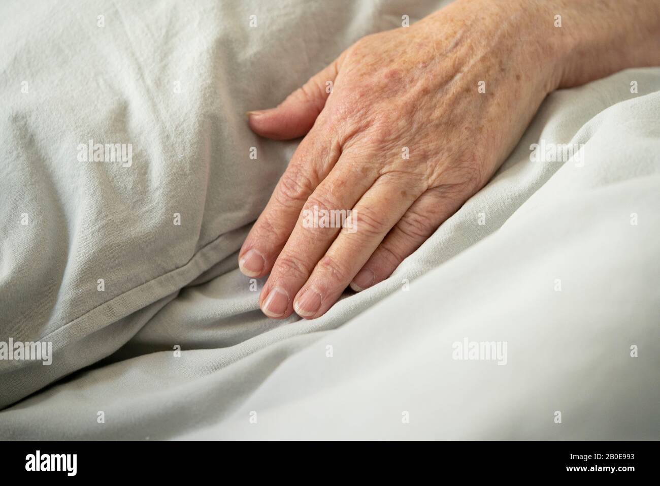 Hand of senior woman Stock Photo - Alamy