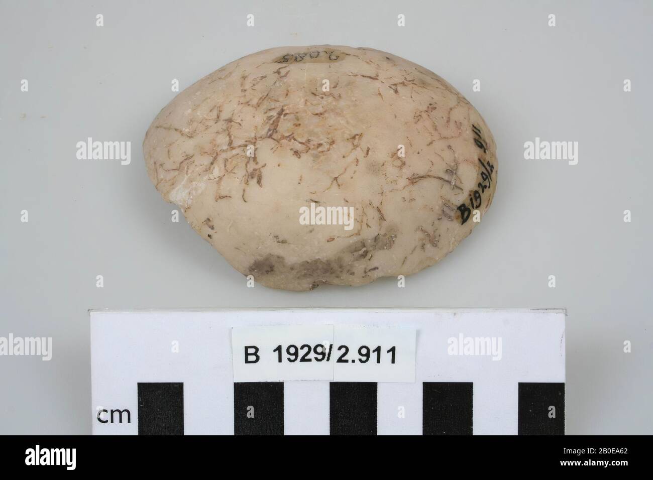 Fragment of a round stone. Function unknown., Stone, stone, alabaster ...