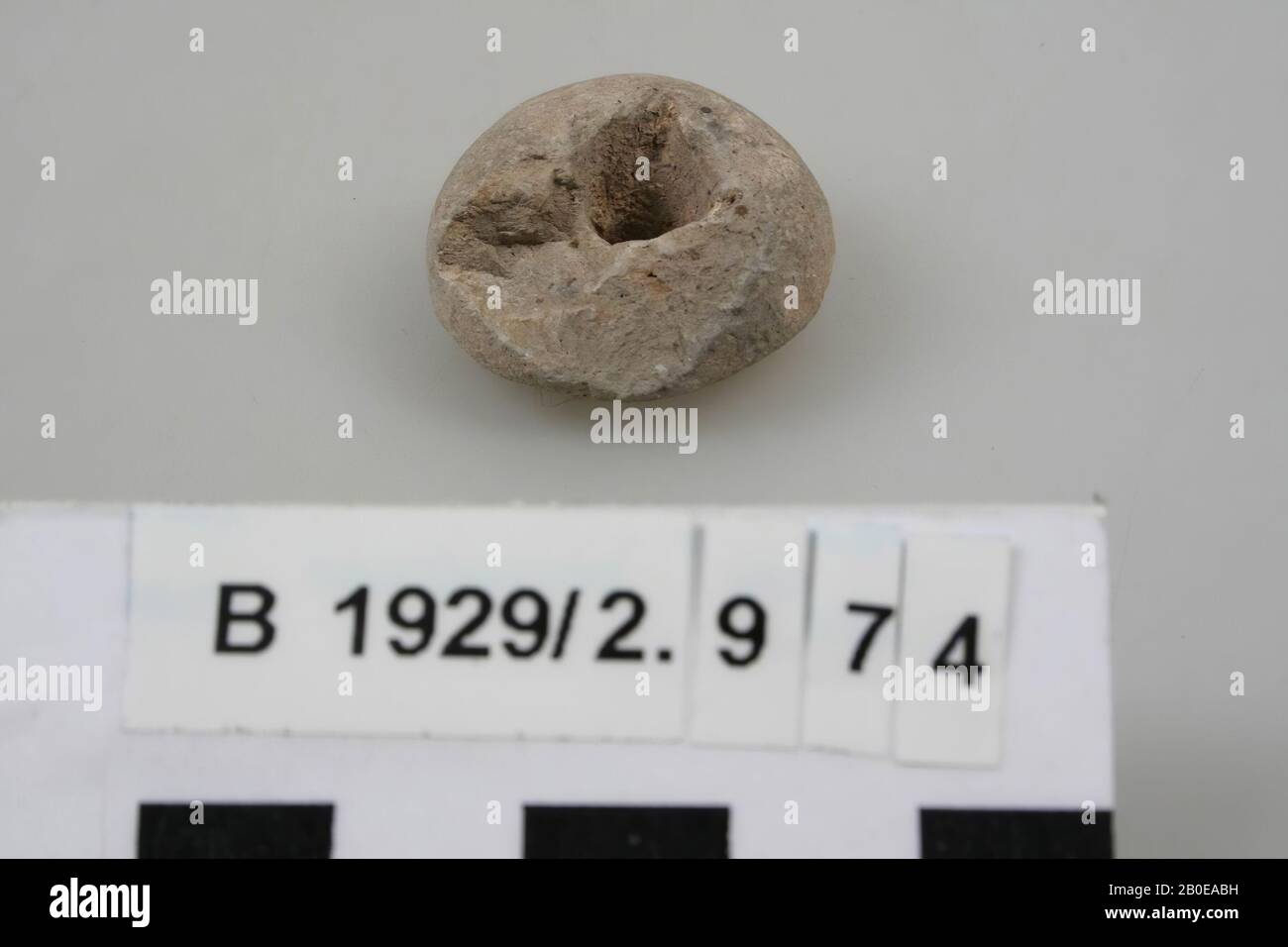 Disk shaped spider hi-res stock photography and images - Alamy