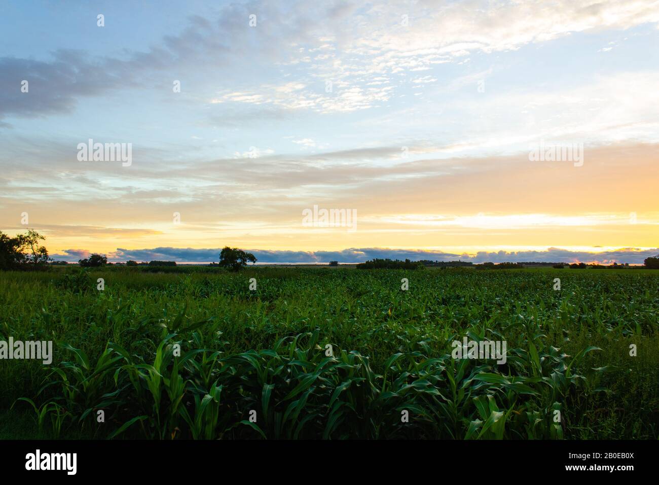 View of field during sunset Stock Photo - Alamy
