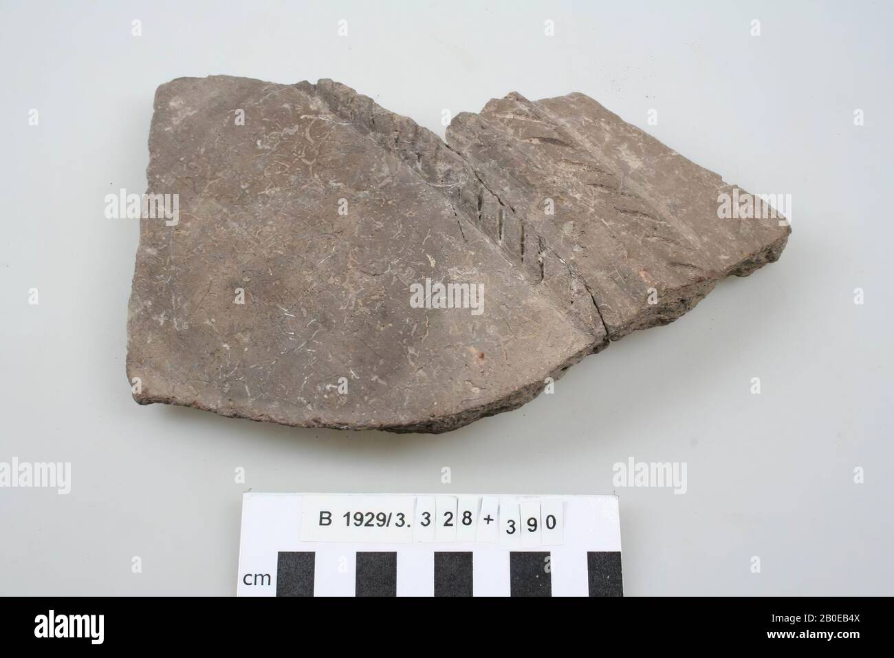 Wall shard decorated hi-res stock photography and images - Alamy