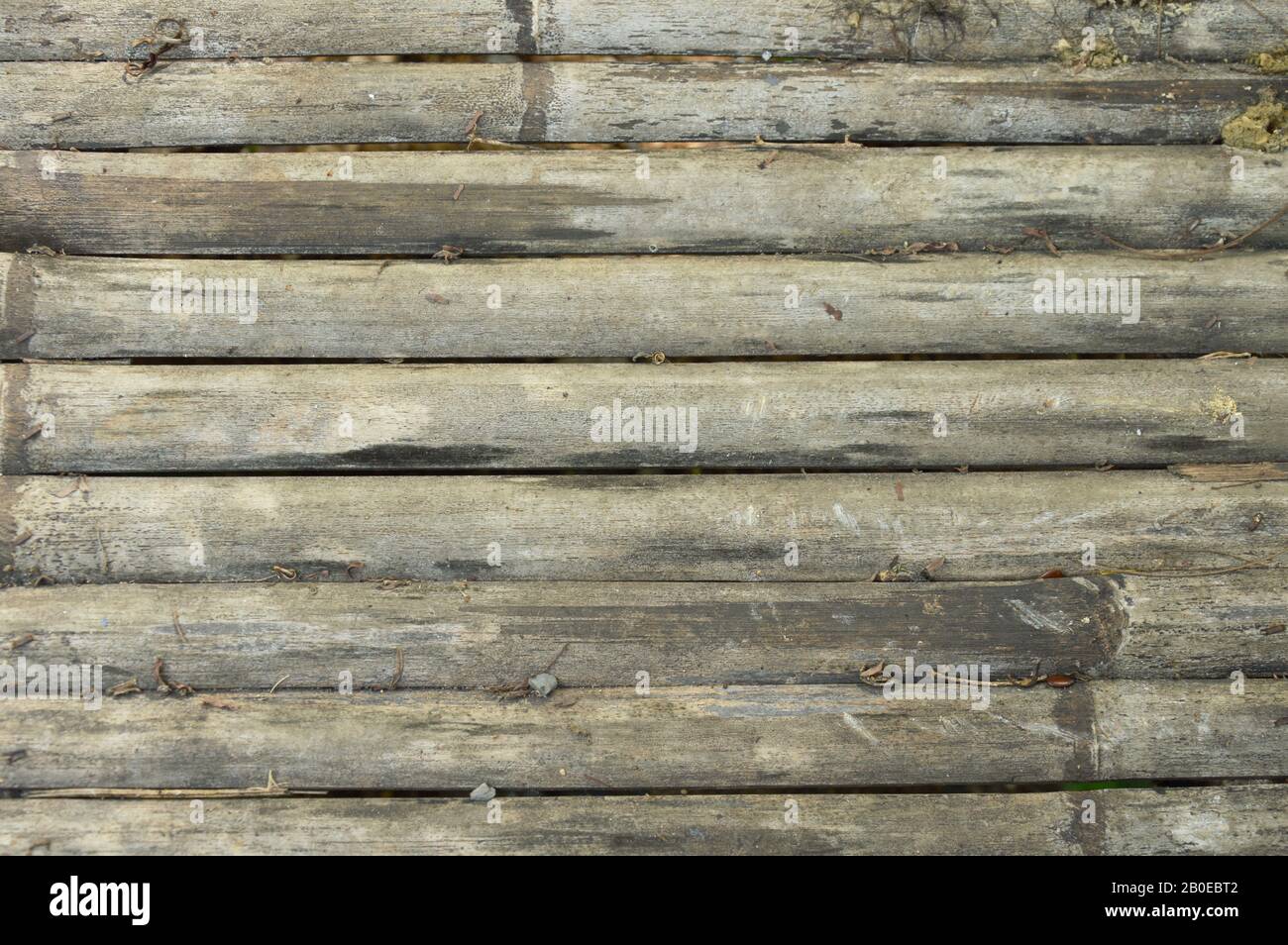 old bamboo litter texture and background Stock Photo - Alamy