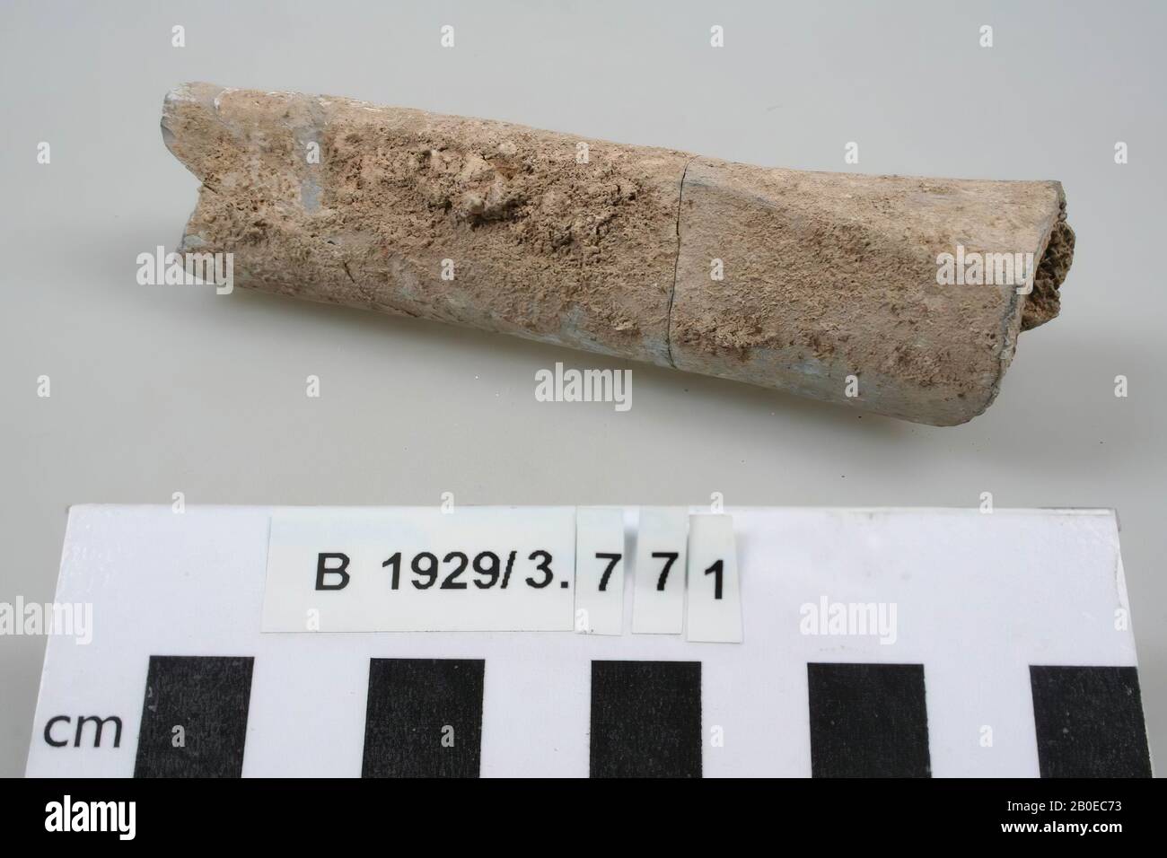 1 12 cm hi-res stock photography and images - Alamy