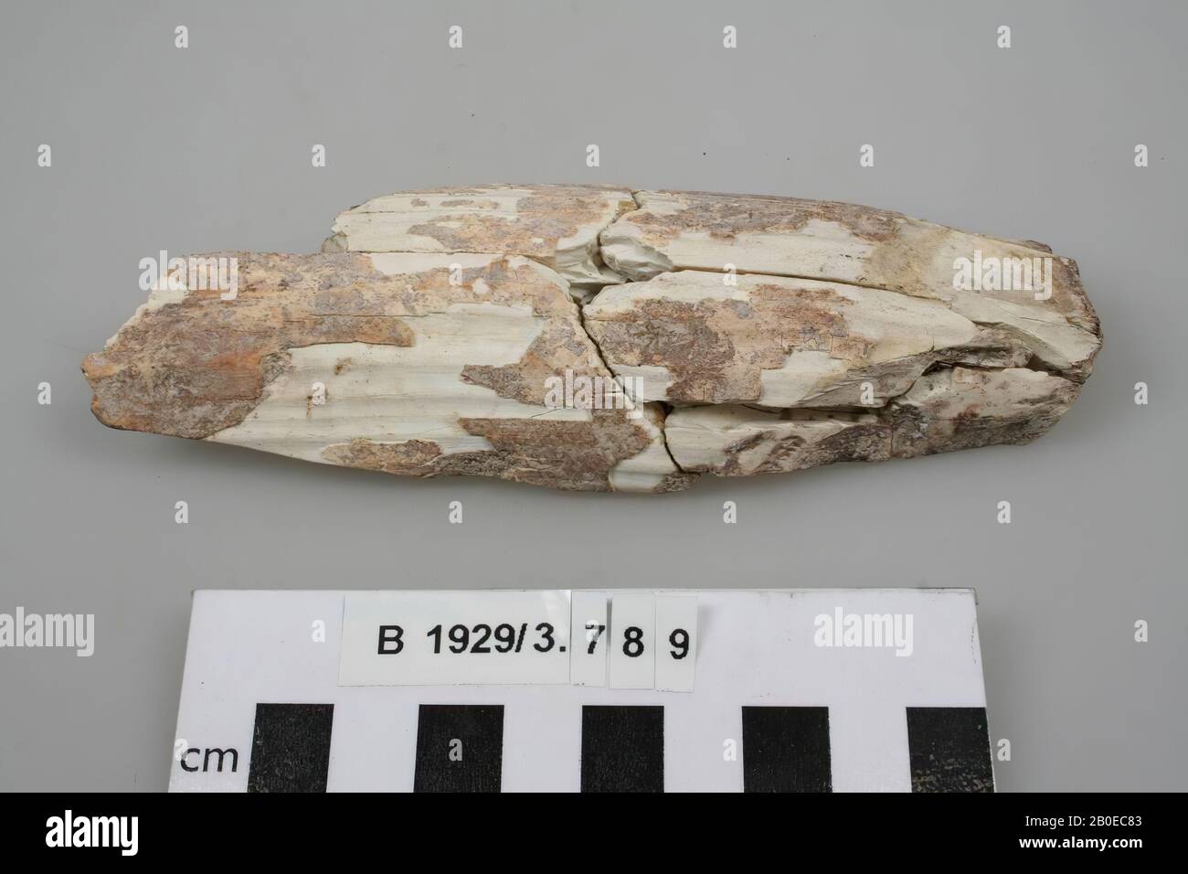 14 cm hi-res stock photography and images - Alamy