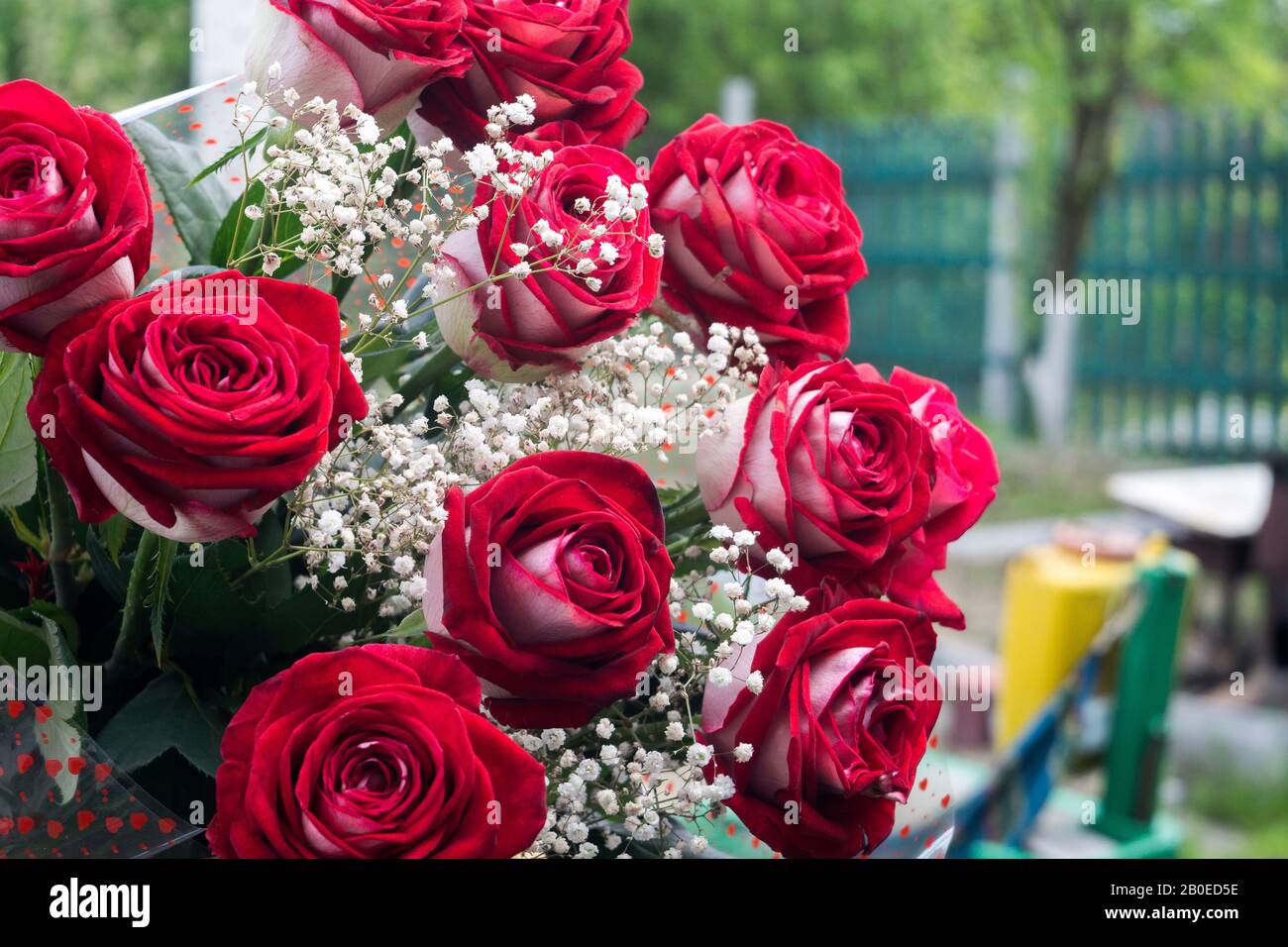 Decorative bouquet of bright red roses, anniversary background Stock ...