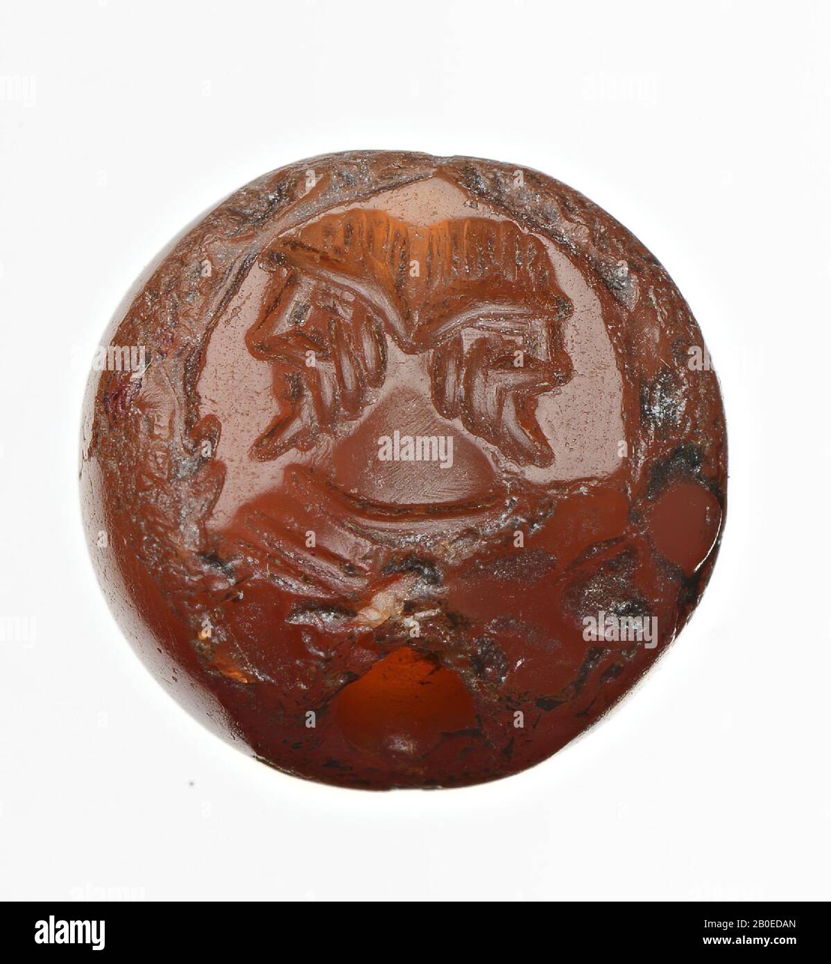 Dome looking Cut Out Stock Images & Pictures - Alamy