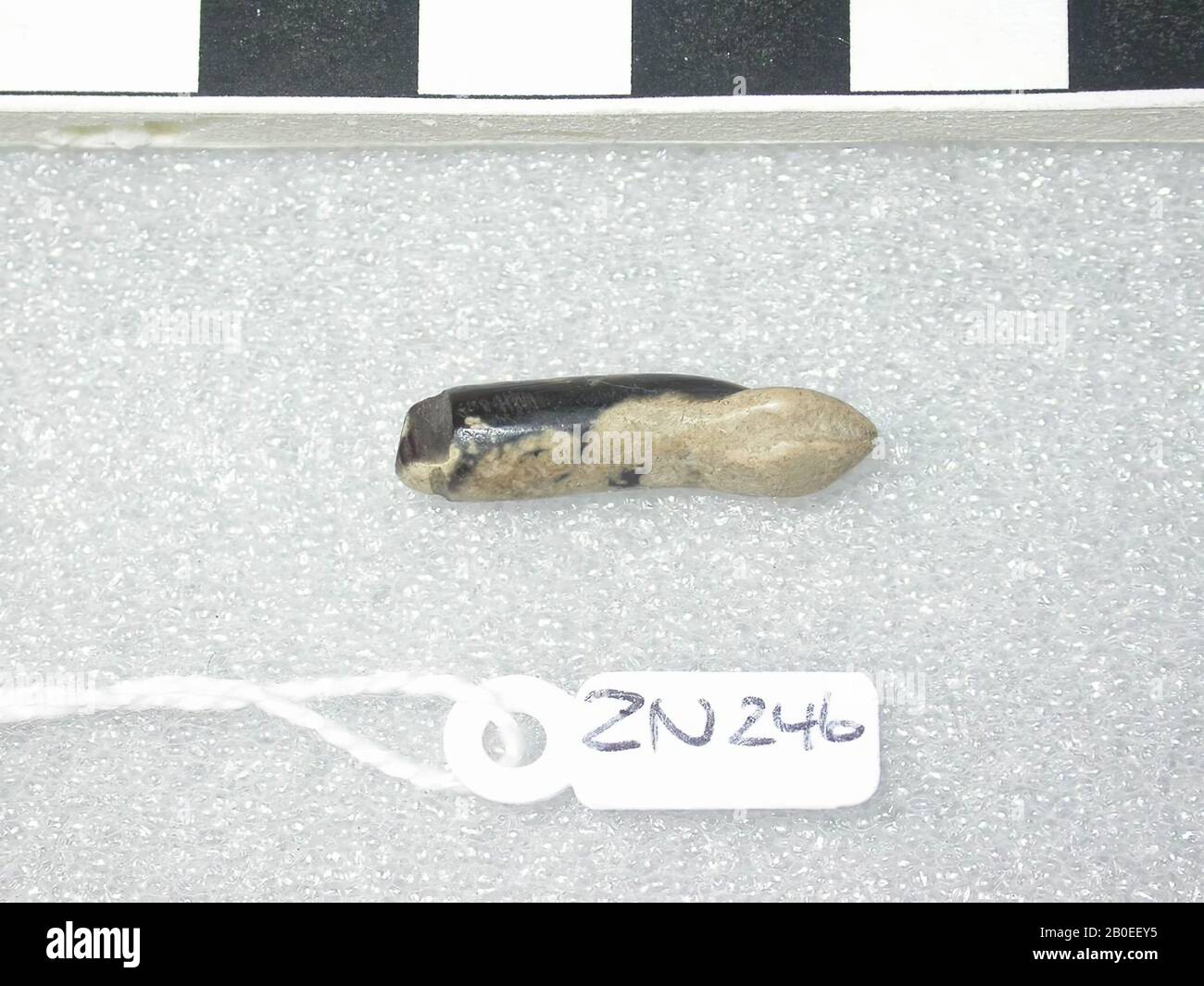 Belly scratch hi-res stock photography and images - Alamy