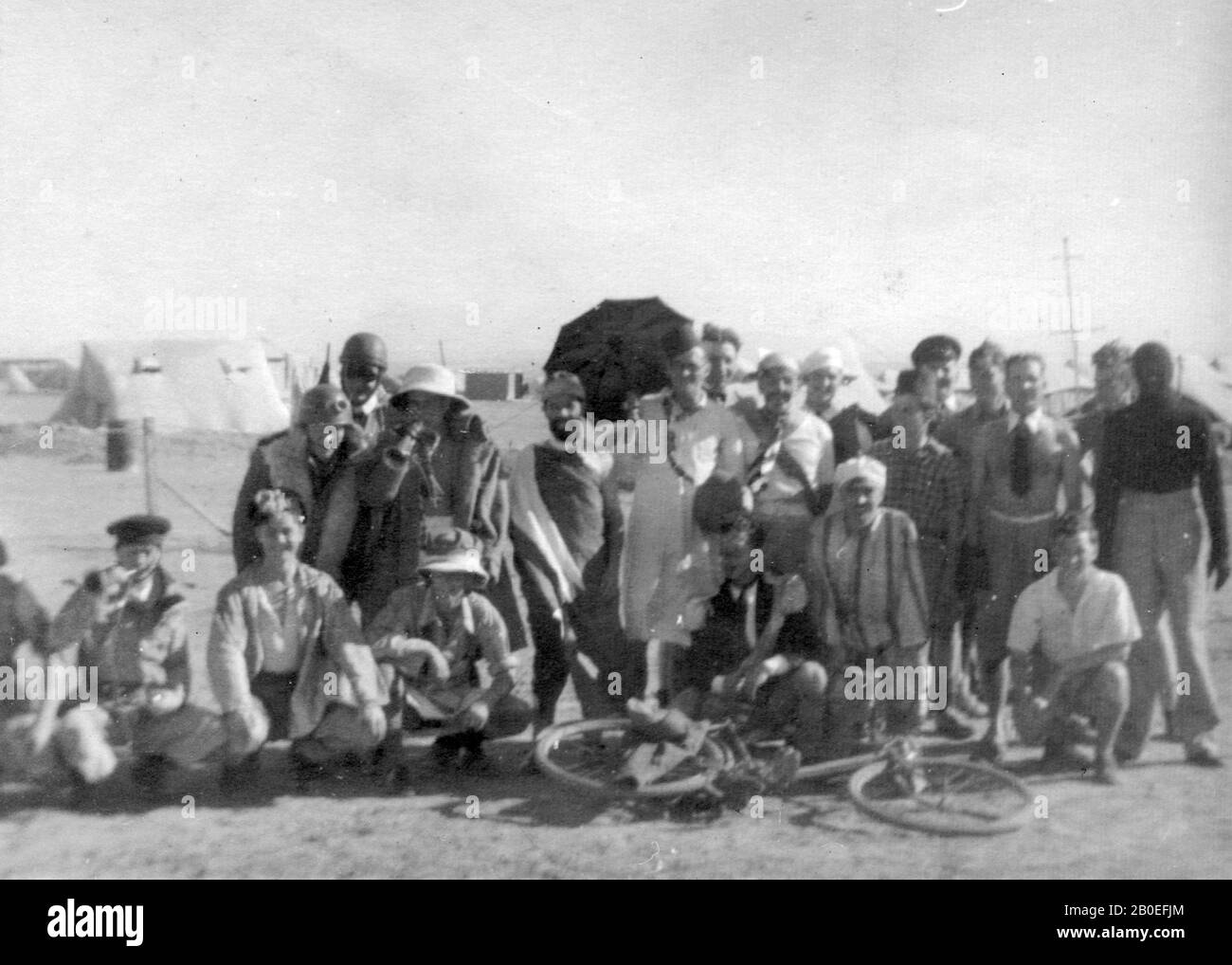 Kabrit hi-res stock photography and images - Alamy