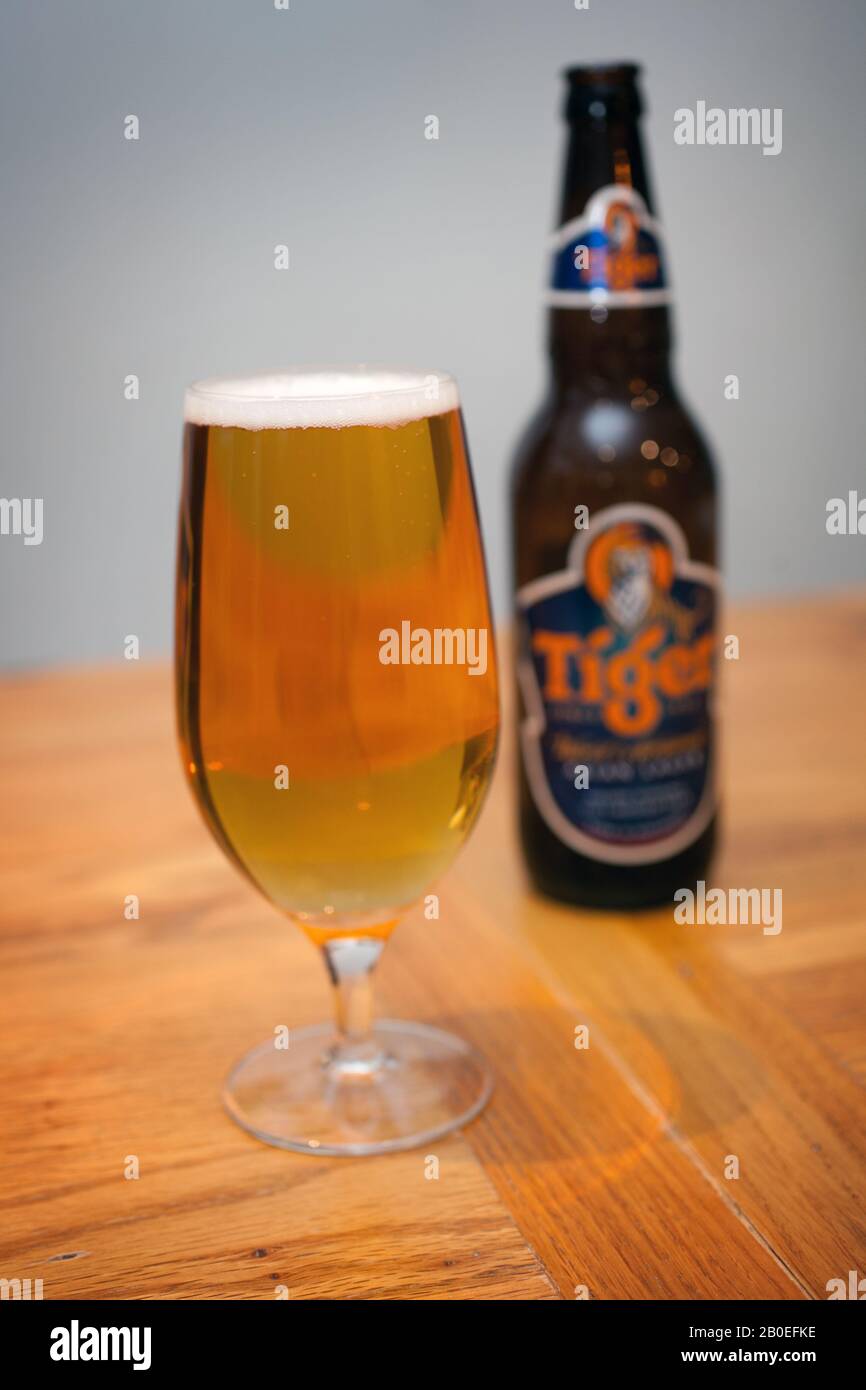 Tiger Beer Tiger Lager Tiger High Resolution Stock Photography and ...
