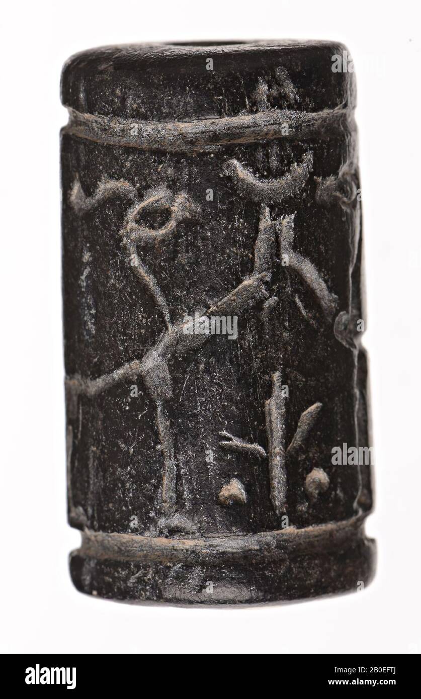 Short foreleg hi-res stock photography and images - Alamy