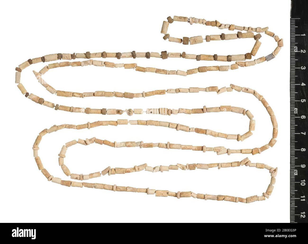 Shell limestone hi-res stock photography and images - Alamy