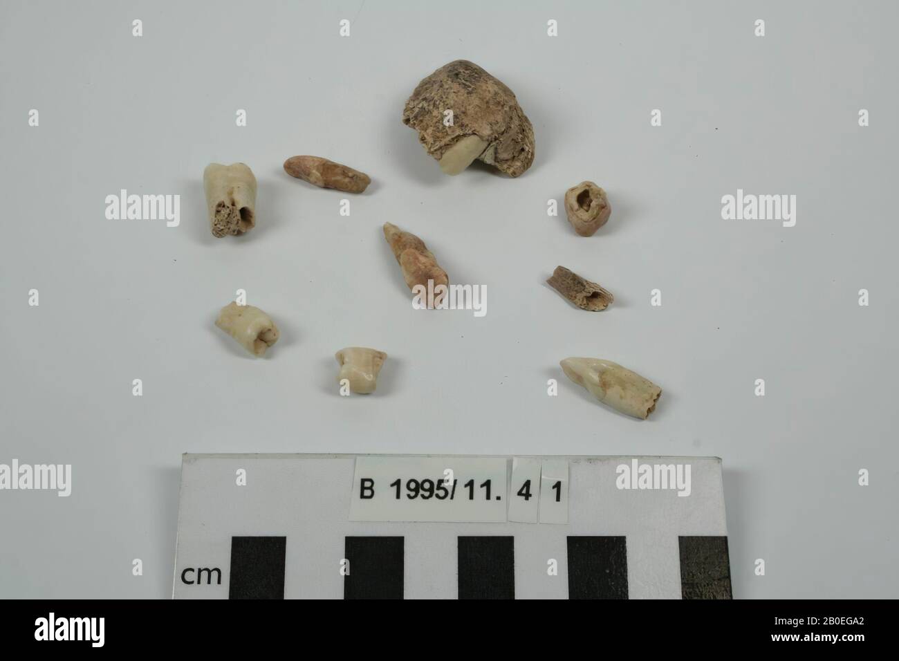 9 fragments hi-res stock photography and images - Alamy