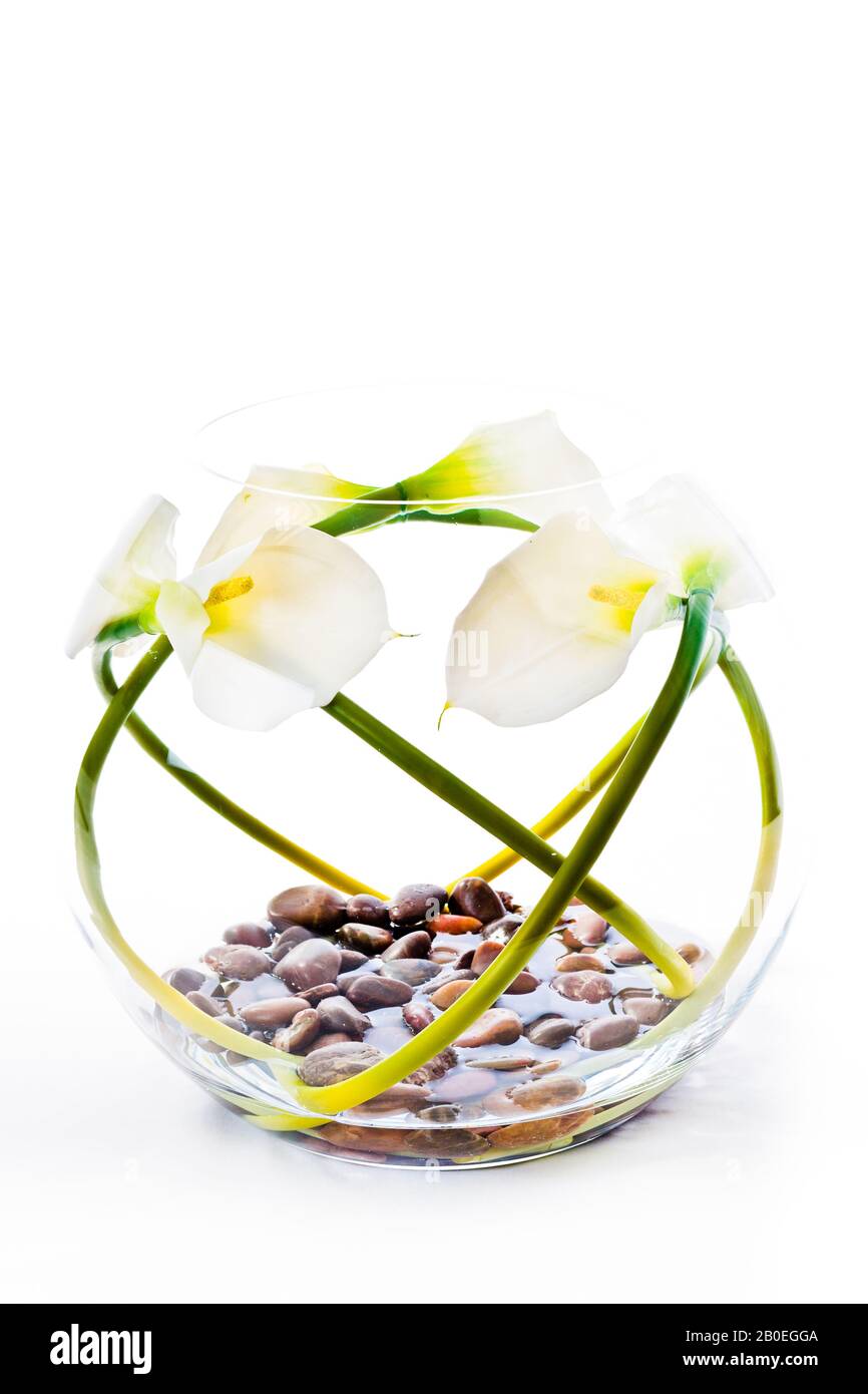 Glass vase with fresh flowers Stock Photo - Alamy