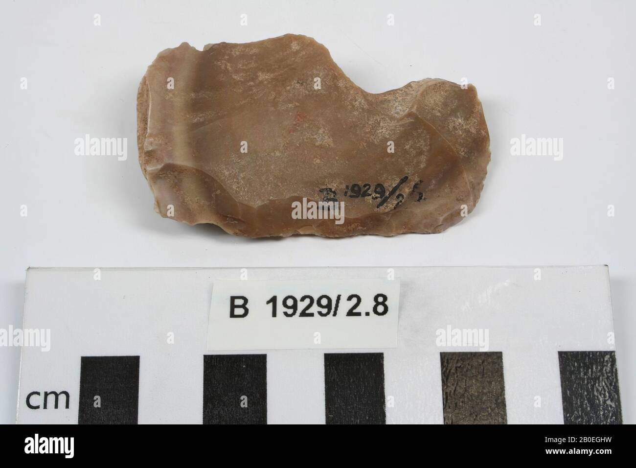 A flint scraper, stone tool, stone, flint, L 6.5 cm, W 3.8 cm, H 1.3 cm ...