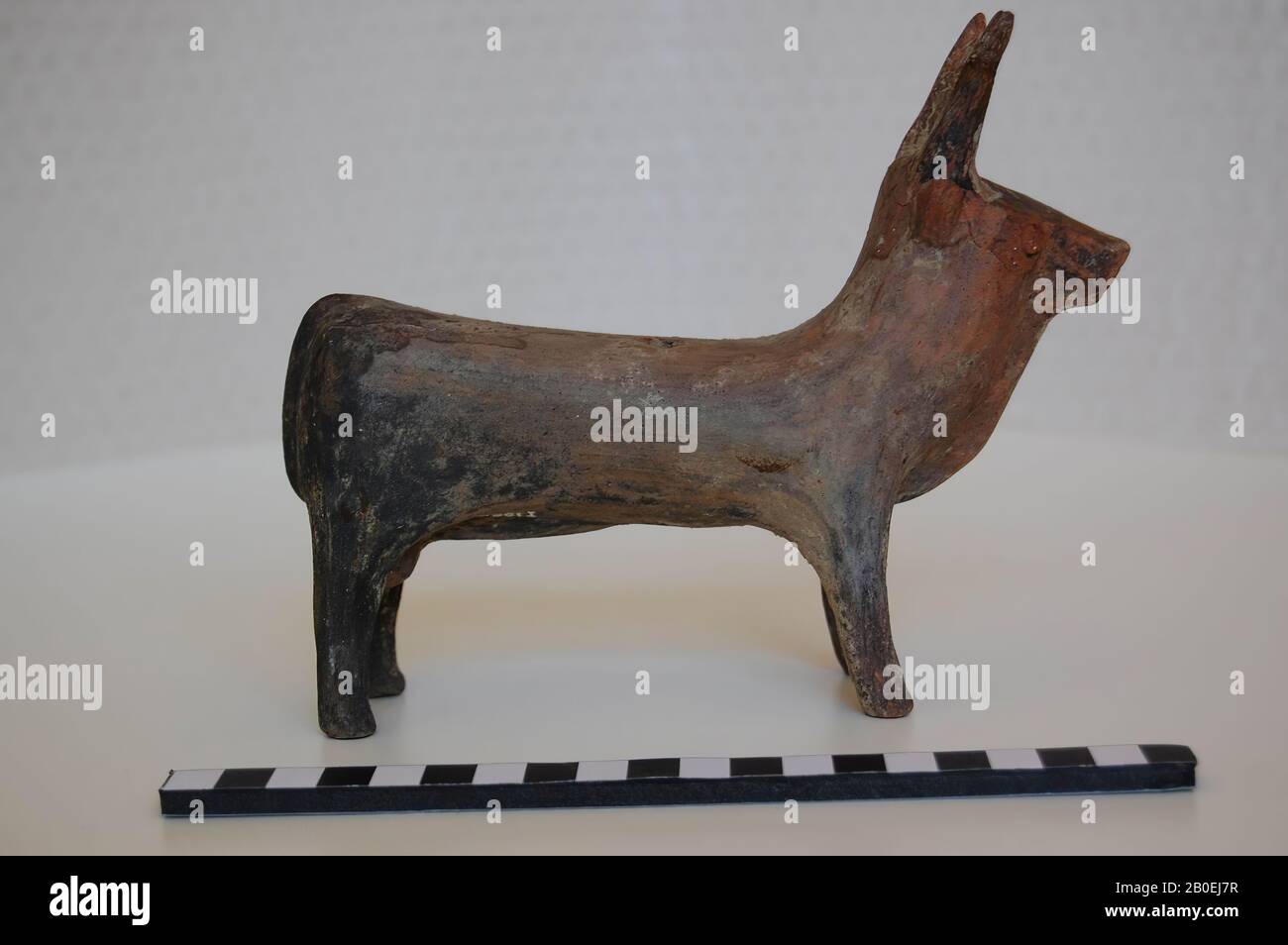 Bull rhyth hi-res stock photography and images - Alamy