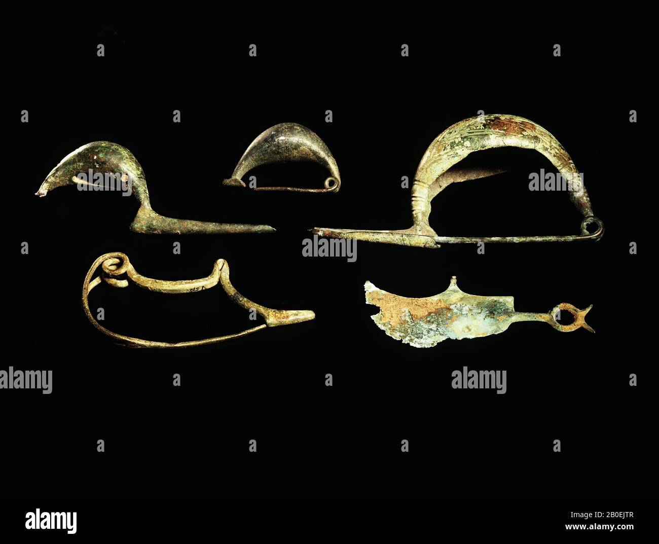 Fibula hi-res stock photography and images - Alamy