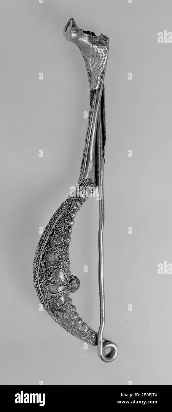 Fibula ends hi-res stock photography and images - Alamy